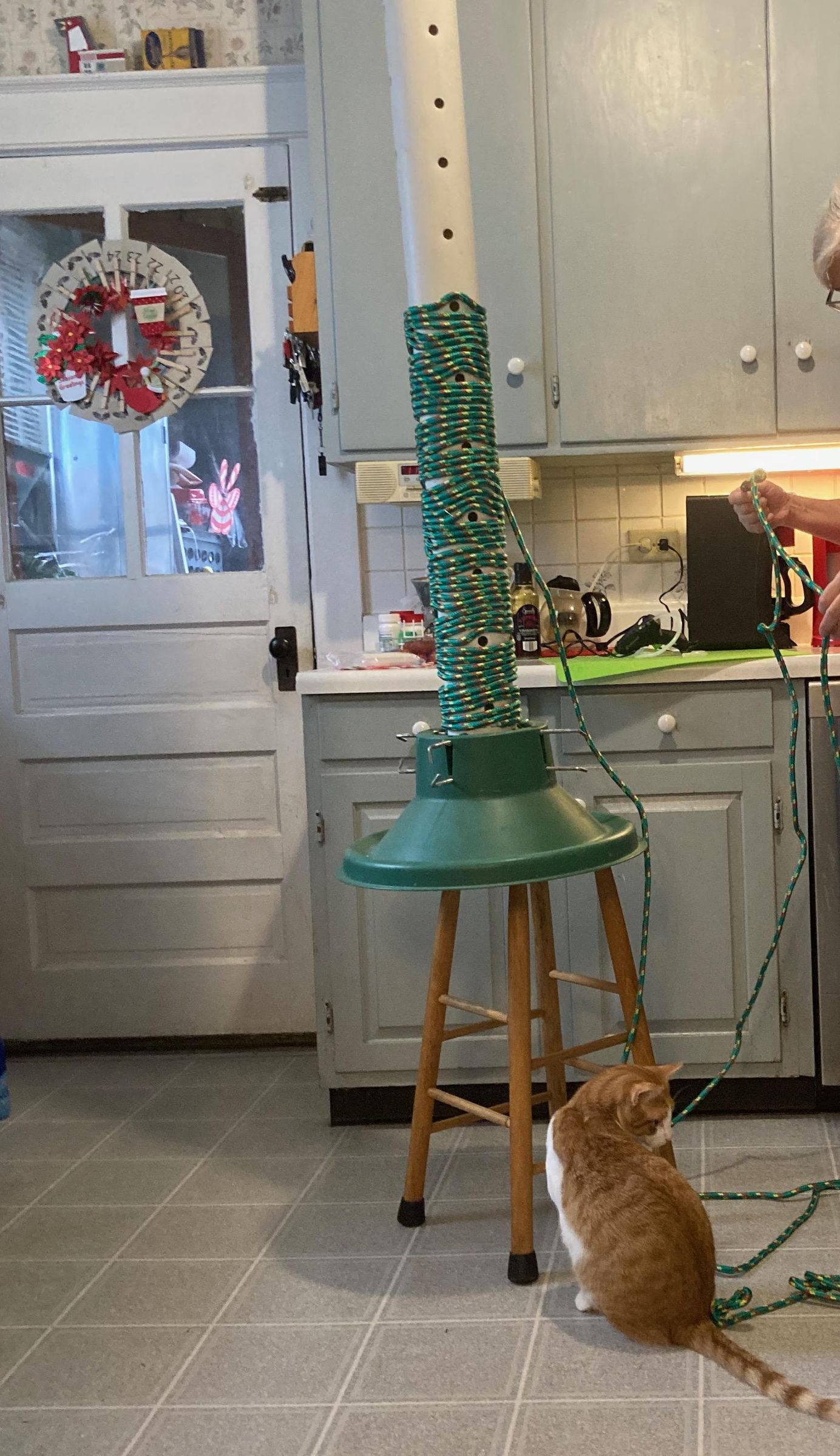 Cat Tree for Your Climber Cat : 8 Steps (with Pictures) - Instructables
