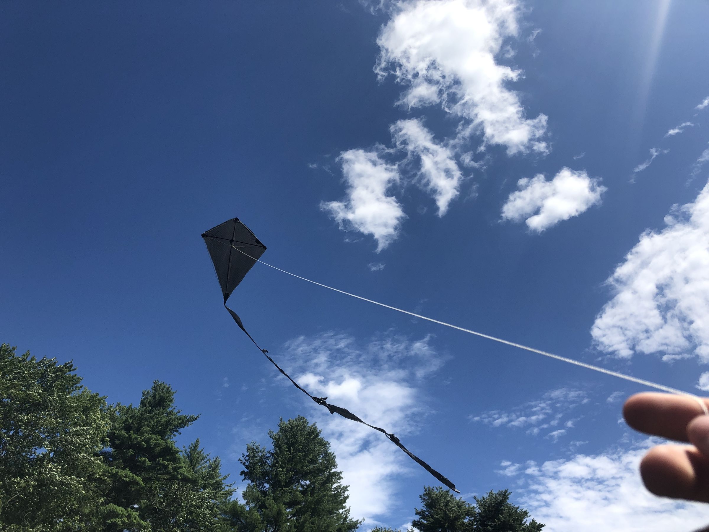How to Make a Basic Kite : 7 Steps (with Pictures) - Instructables