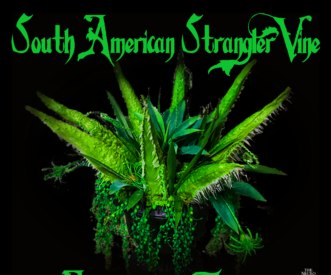 Animatronic Tentacle Vine - AKA Cleopatra, the Rare South American ...