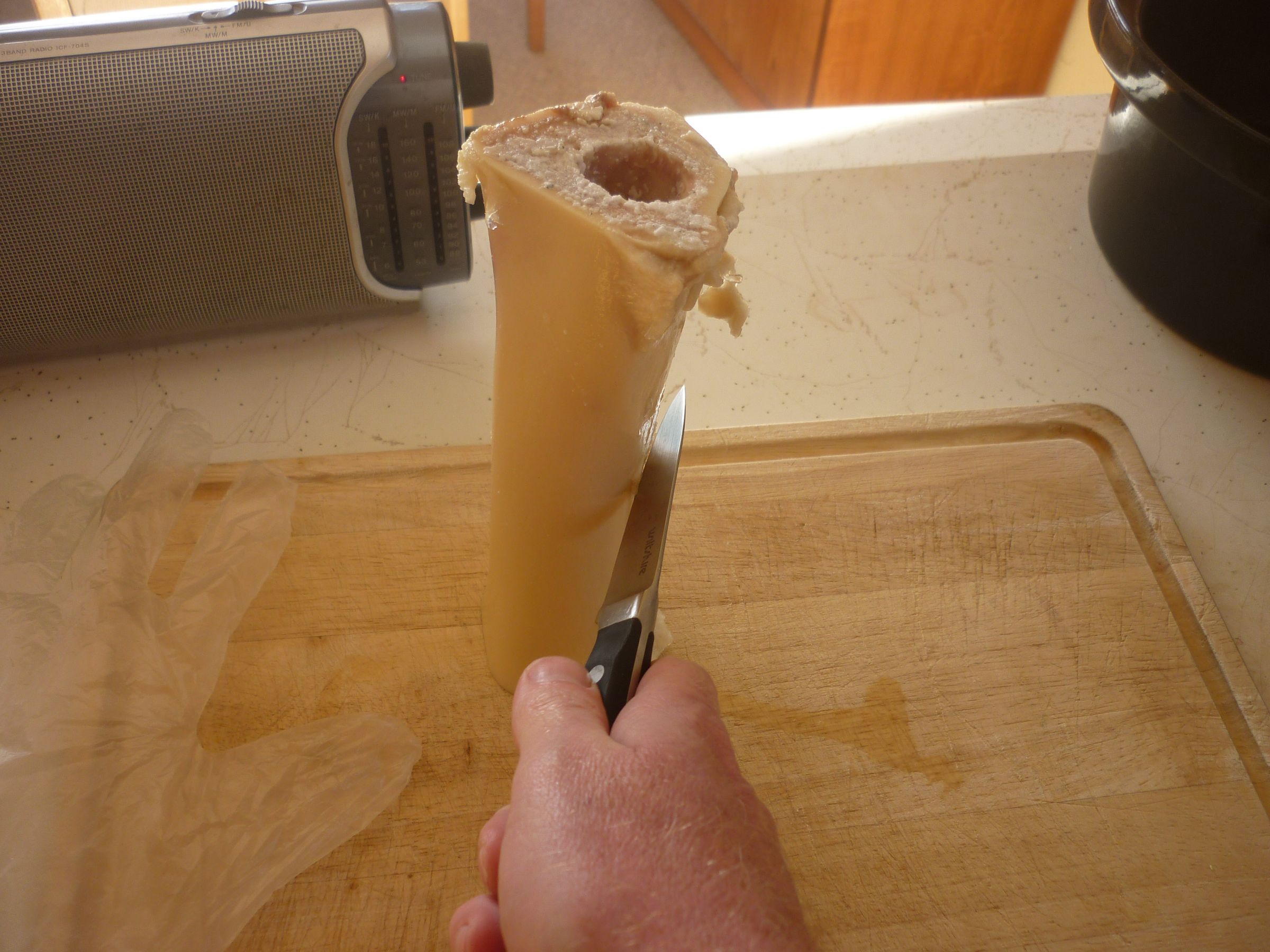 Prepare Bone for Carving : 8 Steps - Instructables