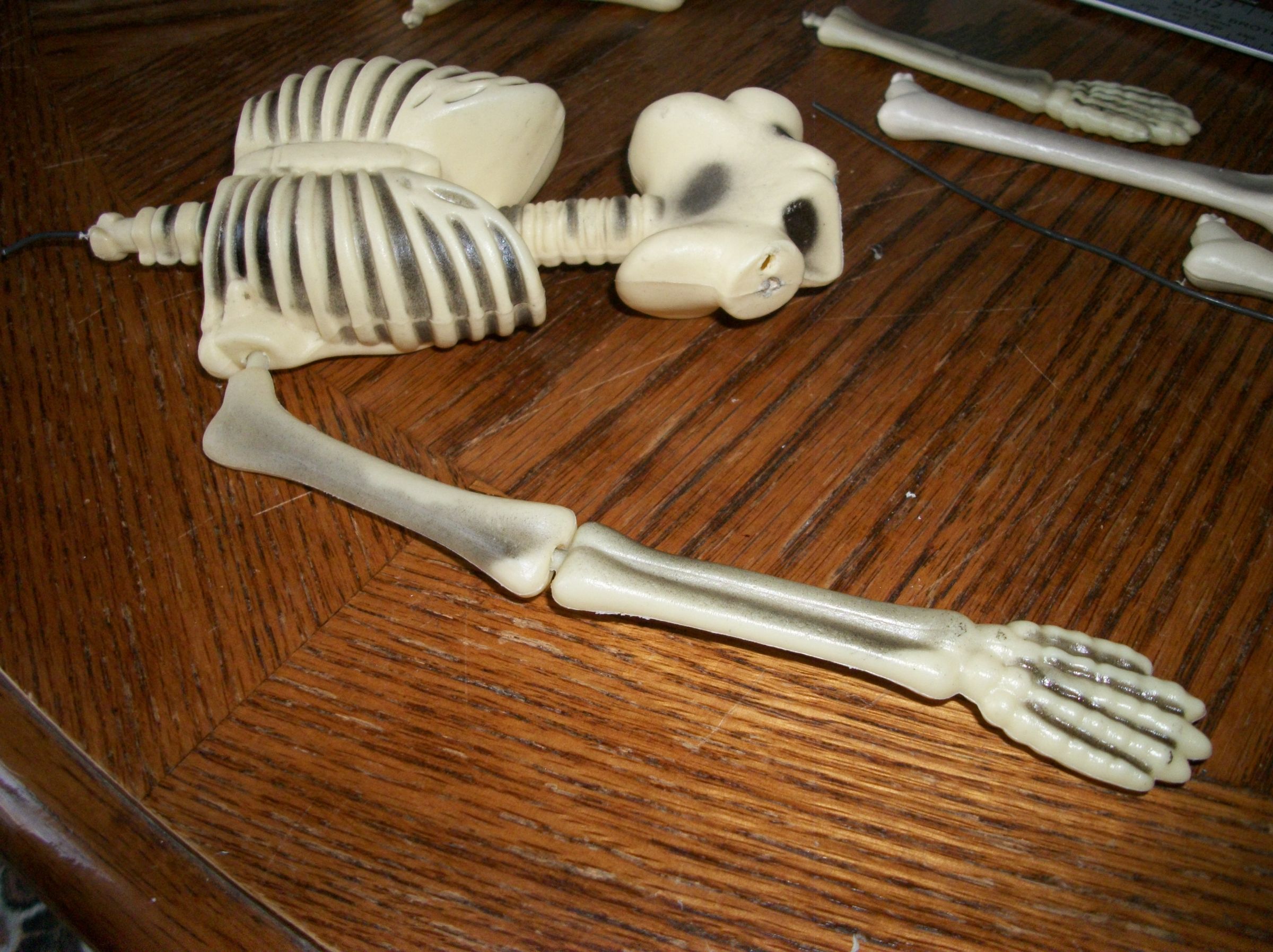 Posable Skelly : 5 Steps (with Pictures) - Instructables