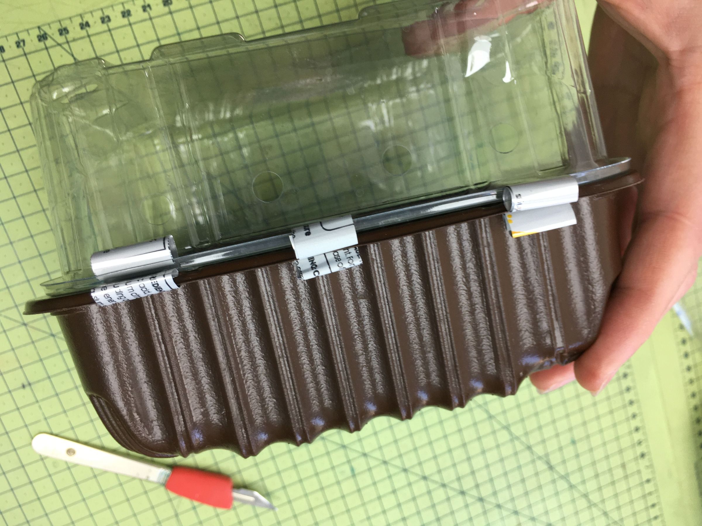 Indoor Seed Propagator - From Recycled Fruit & Veg Trays and Soda Cans ...