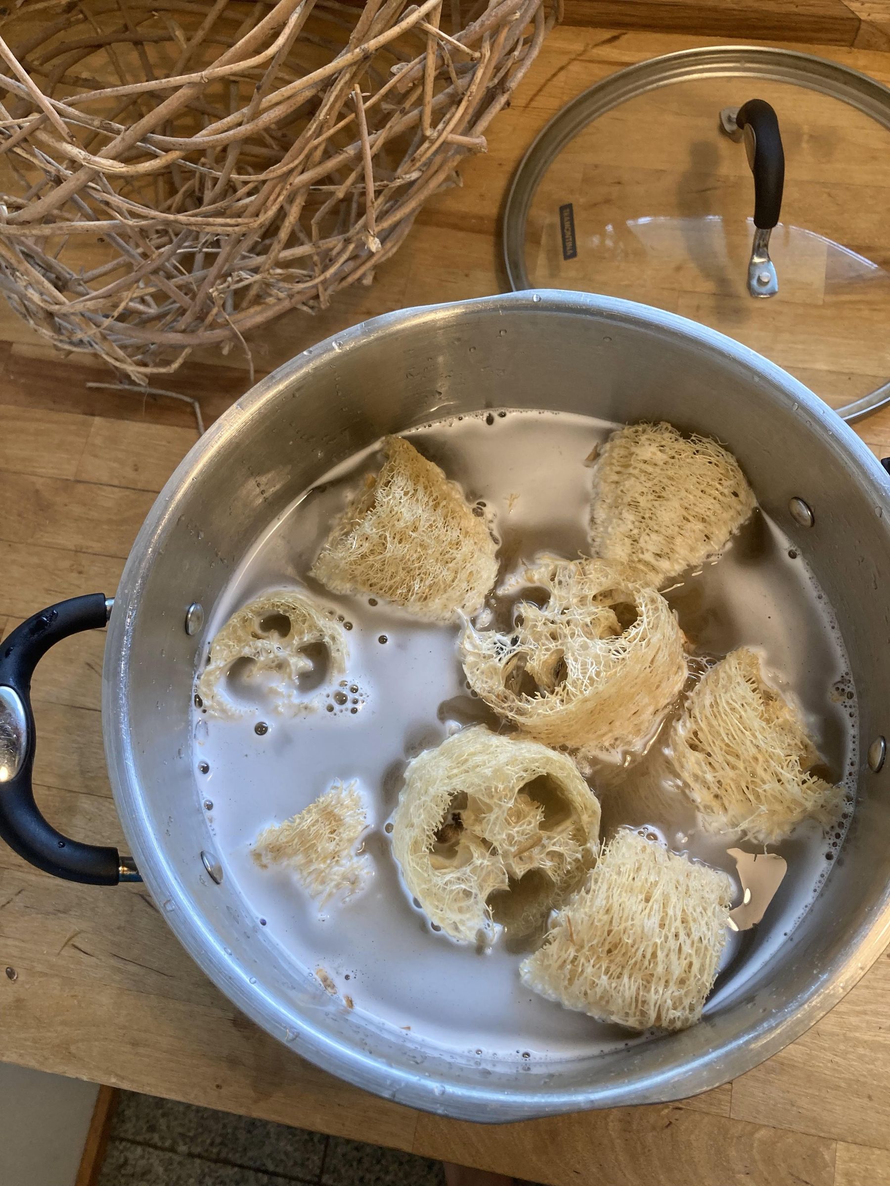 Growing Luffa for Compostable Cleaning Sponges : 8 Steps (with Pictures ...