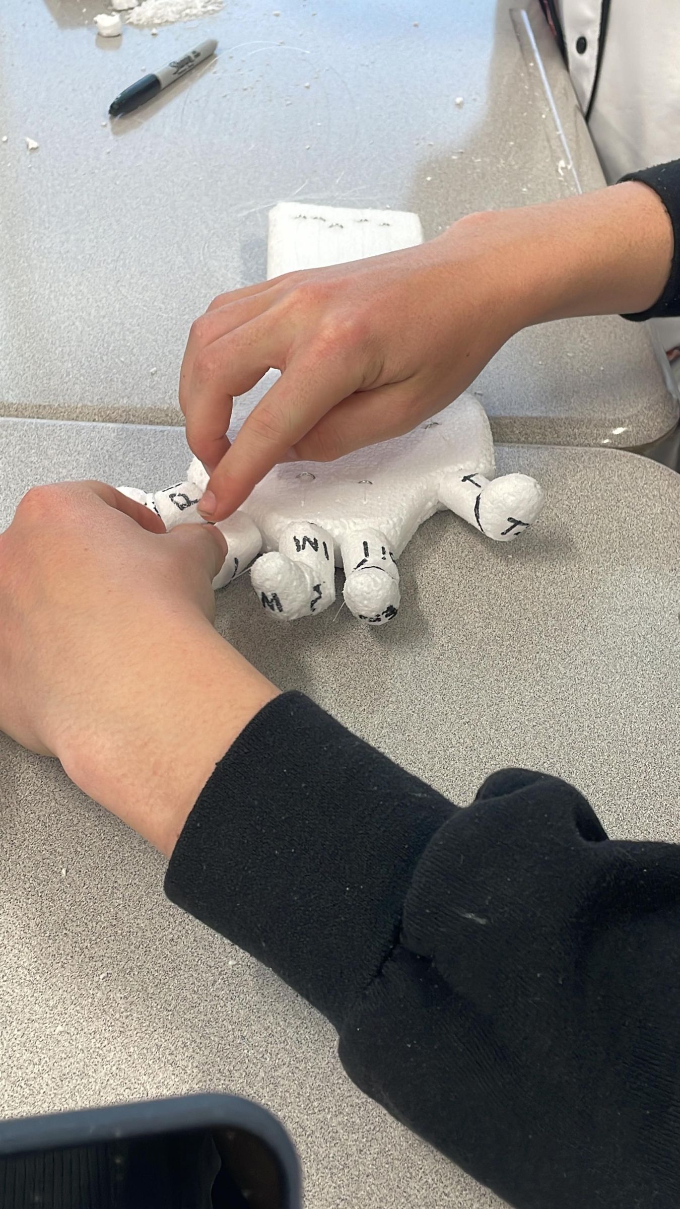 Styrofoam Robotic Hand: STEM : 18 Steps - Instructables