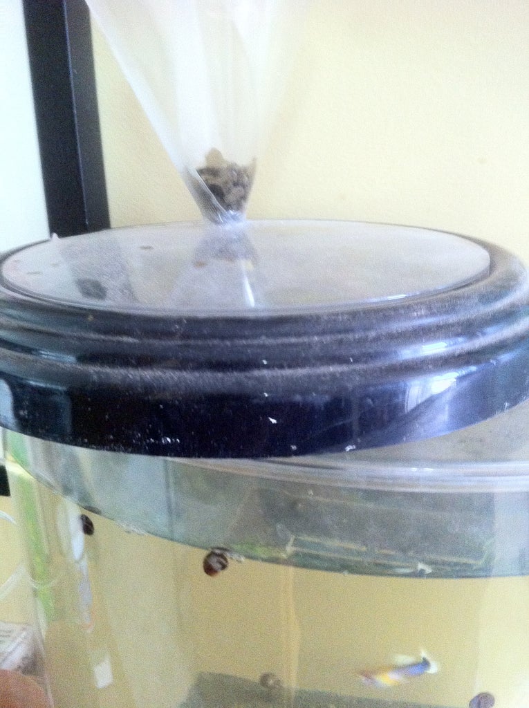 Turn A Clock Into An Automatic Fish Feeder 7 Steps with Pictures Instructables turn-a-clock-into-an-automatic-fish-feeder-7-steps-with-pictures-instructables