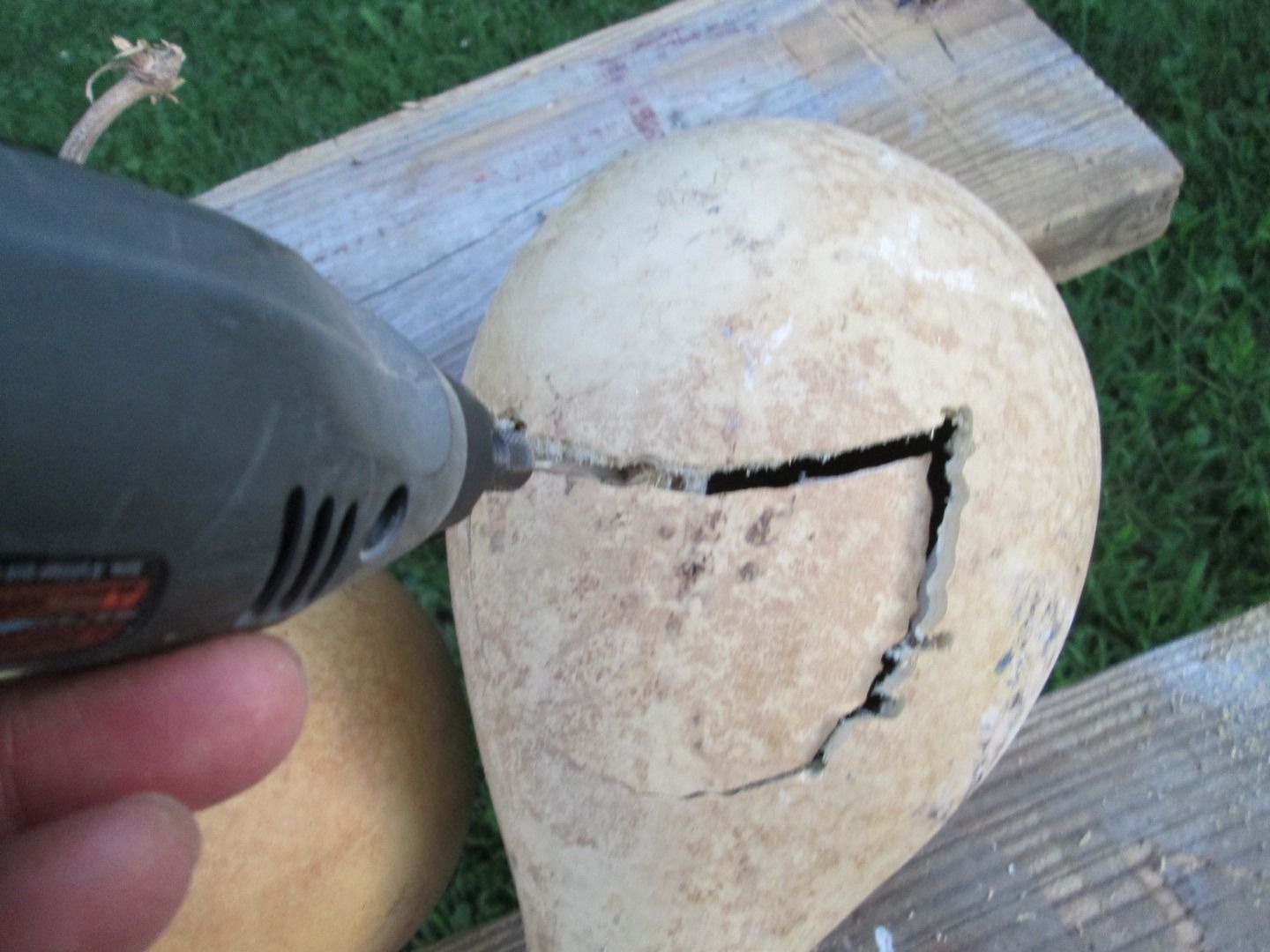 Build a Gourd Birdhouse : 8 Steps (with Pictures) - Instructables
