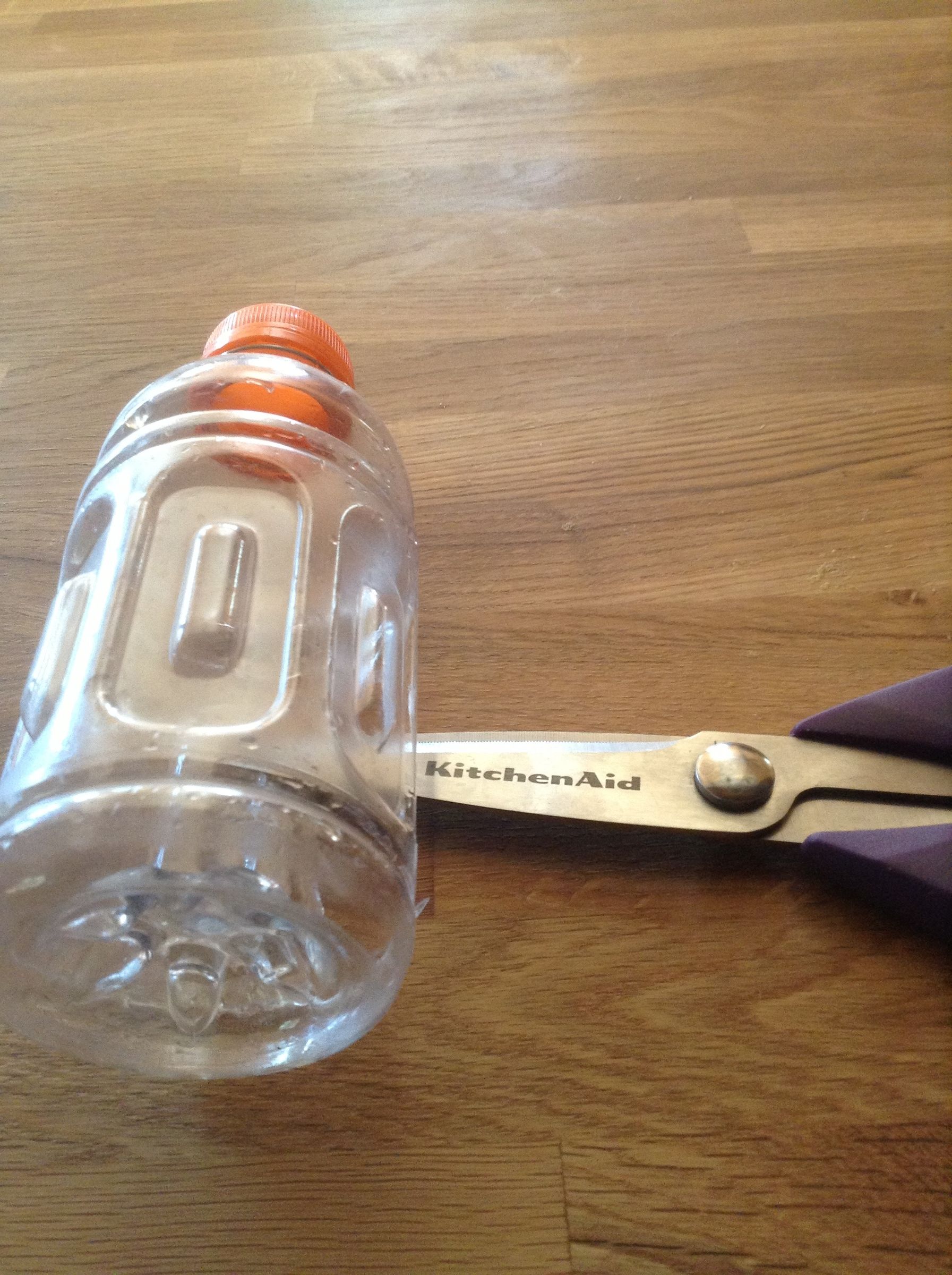 Simplest Bird Feeder Ever - Instructables