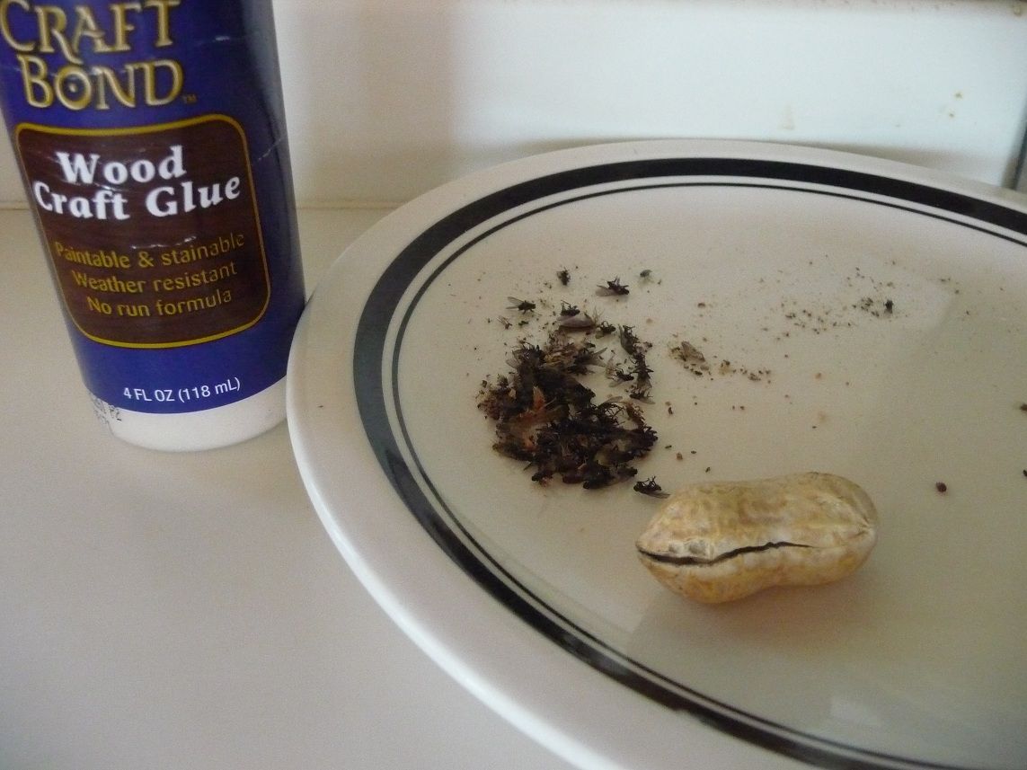 Pocket-Sized ~ the Meanest (FEAR FACTOR) Peanut Prank Ever! - Instructables