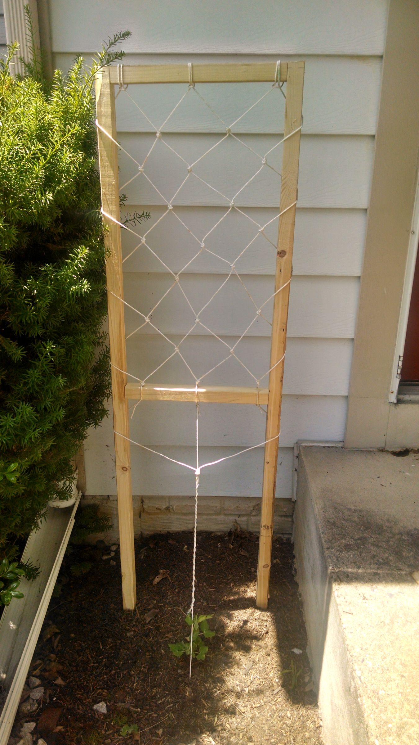 Macrame Trellis : 3 Steps - Instructables