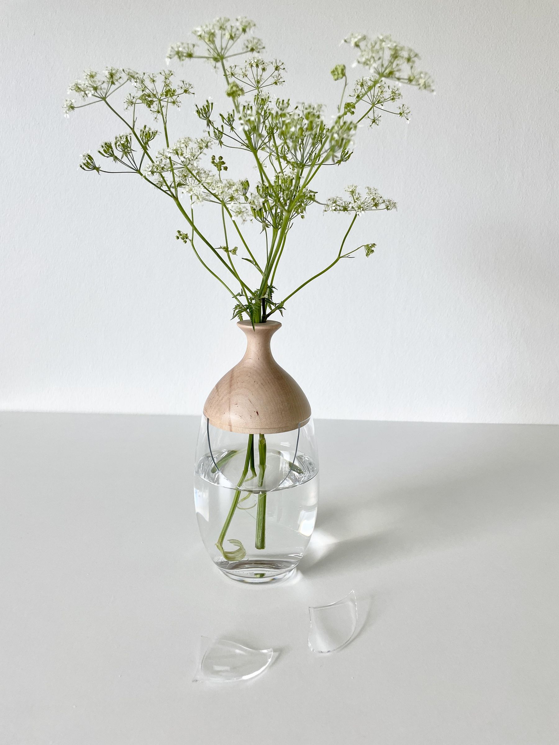 Turn/reuse Your Glasses in to Vases : 9 Steps (with Pictures ...