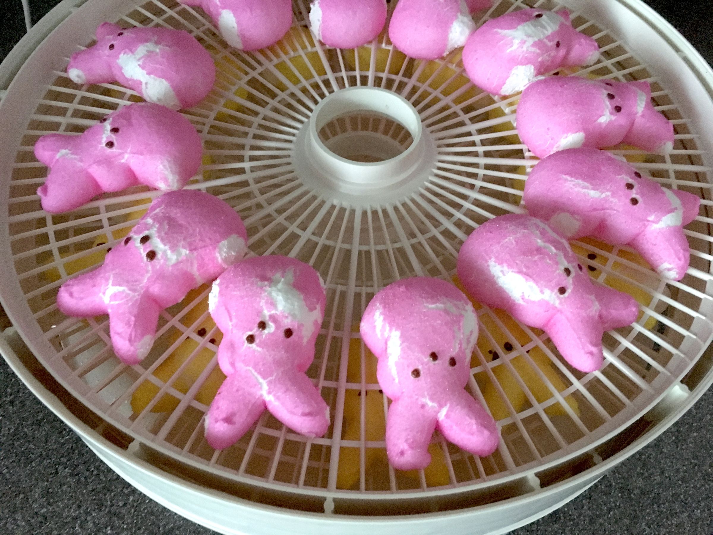 How to Dehydrate Marshmallows : 7 Steps (with Pictures) - Instructables