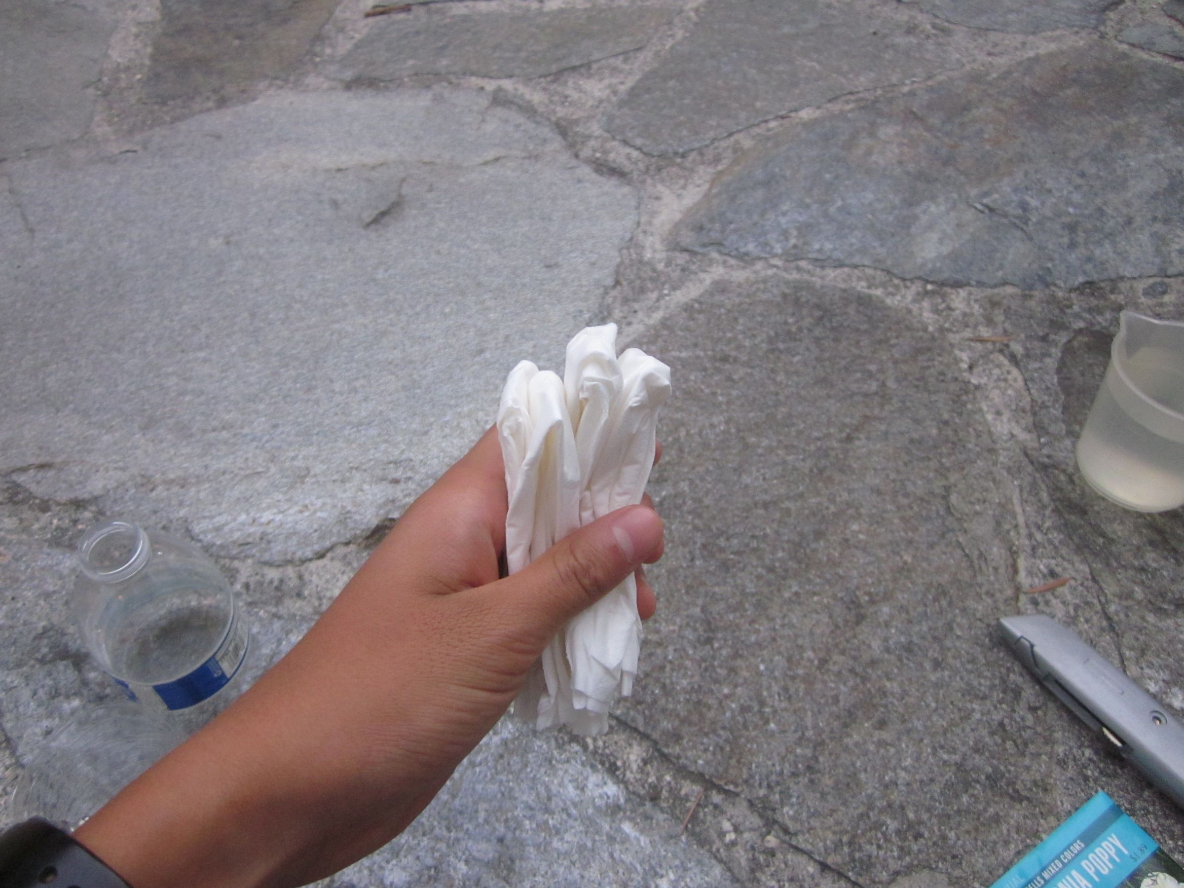 DIY 5-Minute Self-Watering Planter : 8 Steps (with Pictures ...