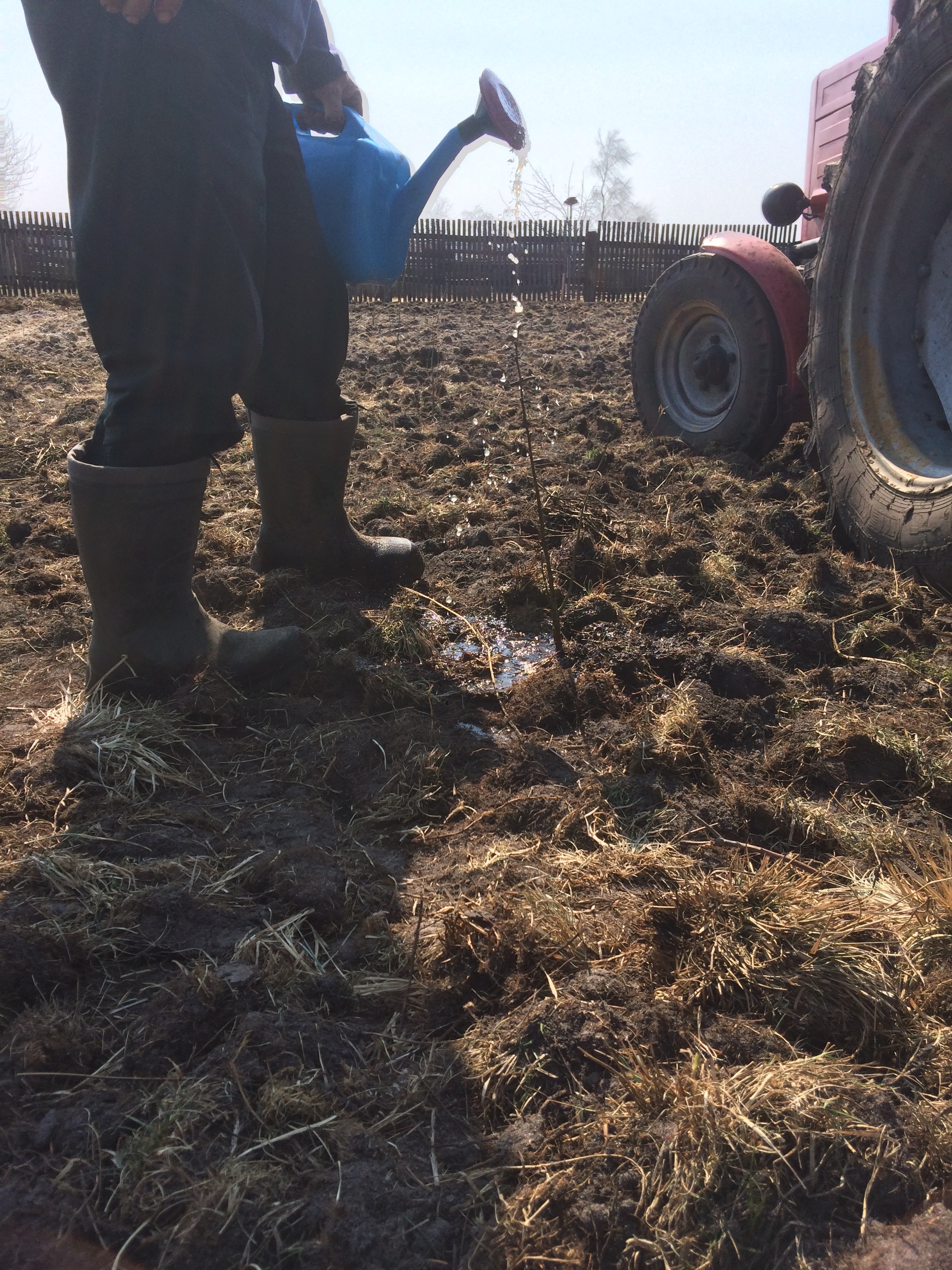 Shrubs to Hazelnuts : 24 Steps - Instructables