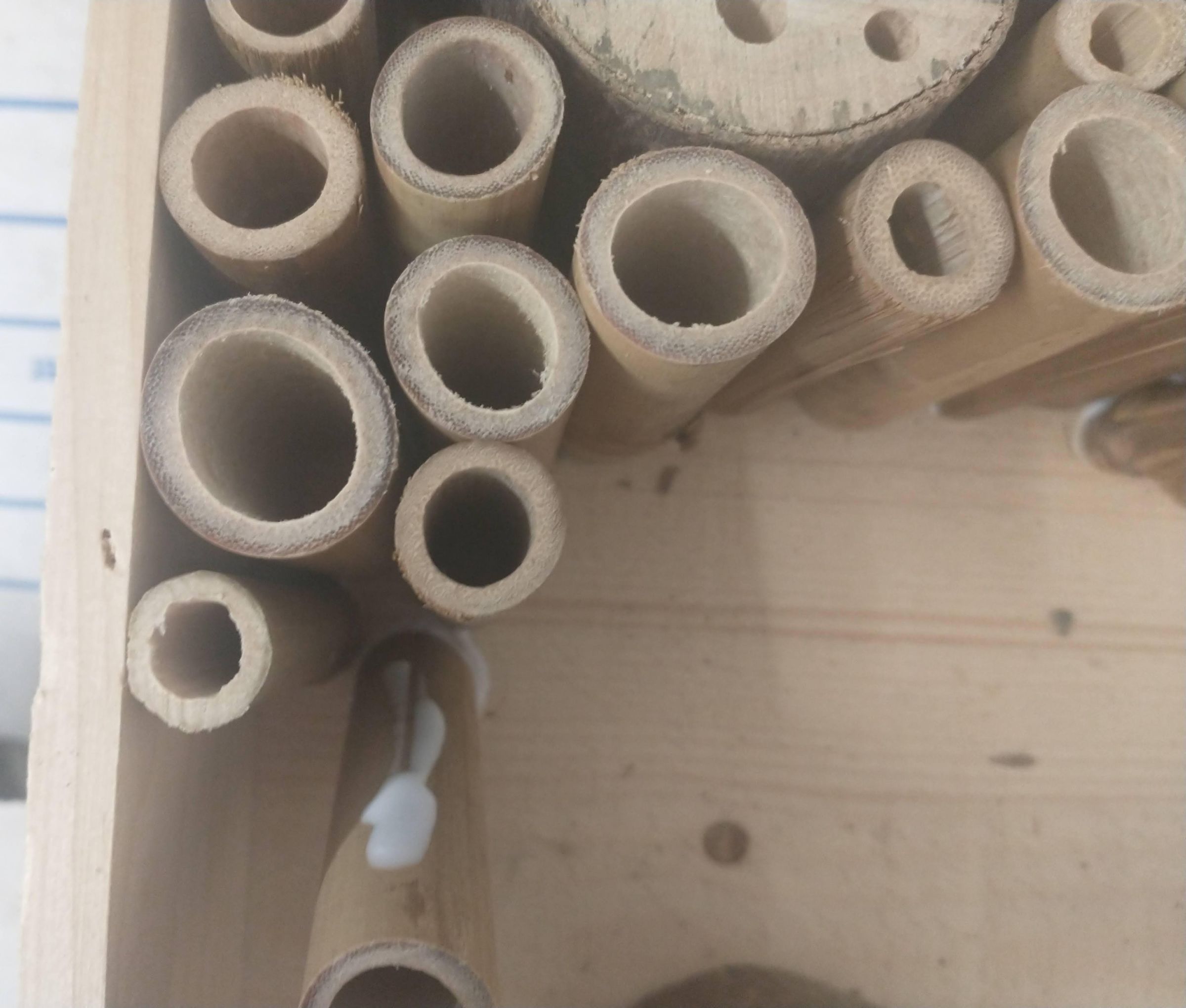 Self-Made Insect Hotel : 5 Steps (with Pictures) - Instructables