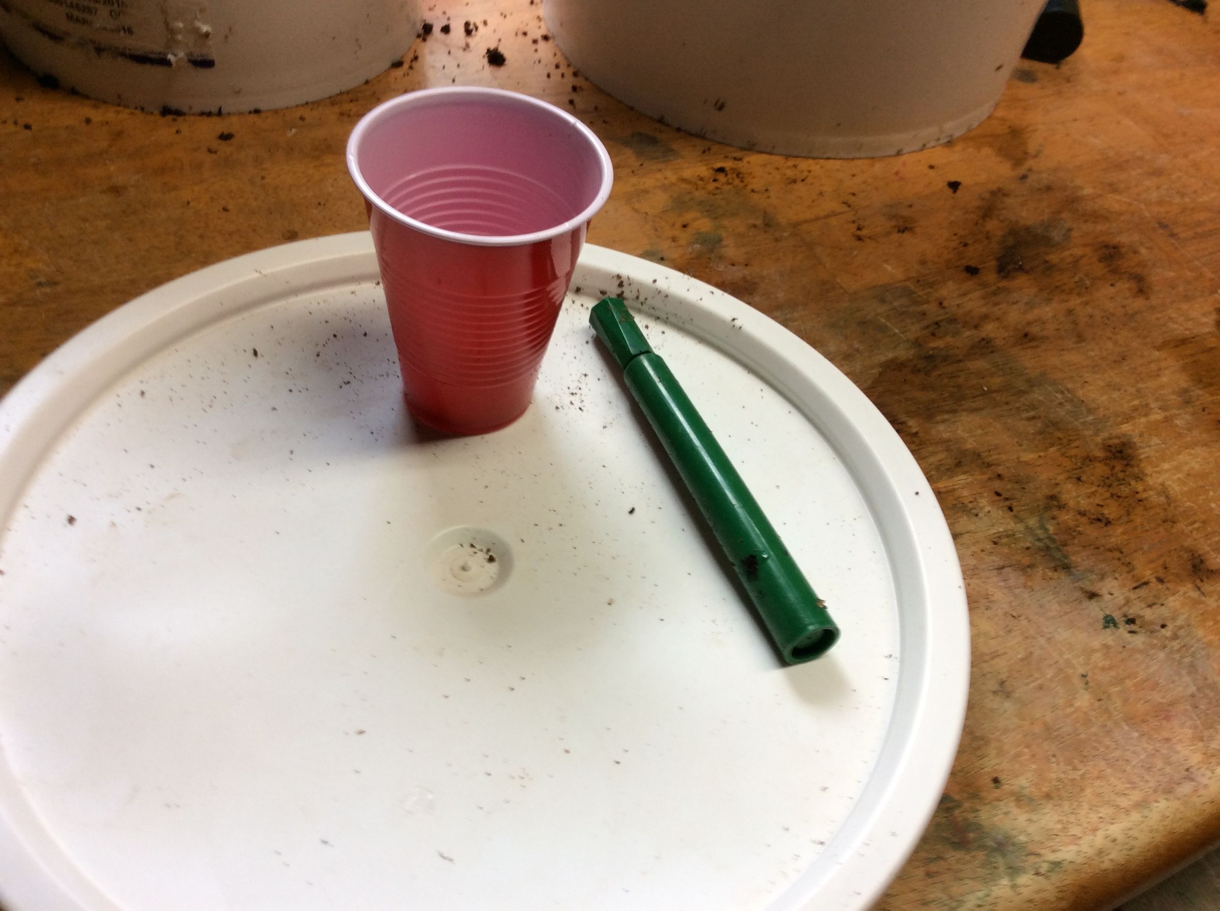 Diy Bucket Hydroponics : 6 Steps - Instructables