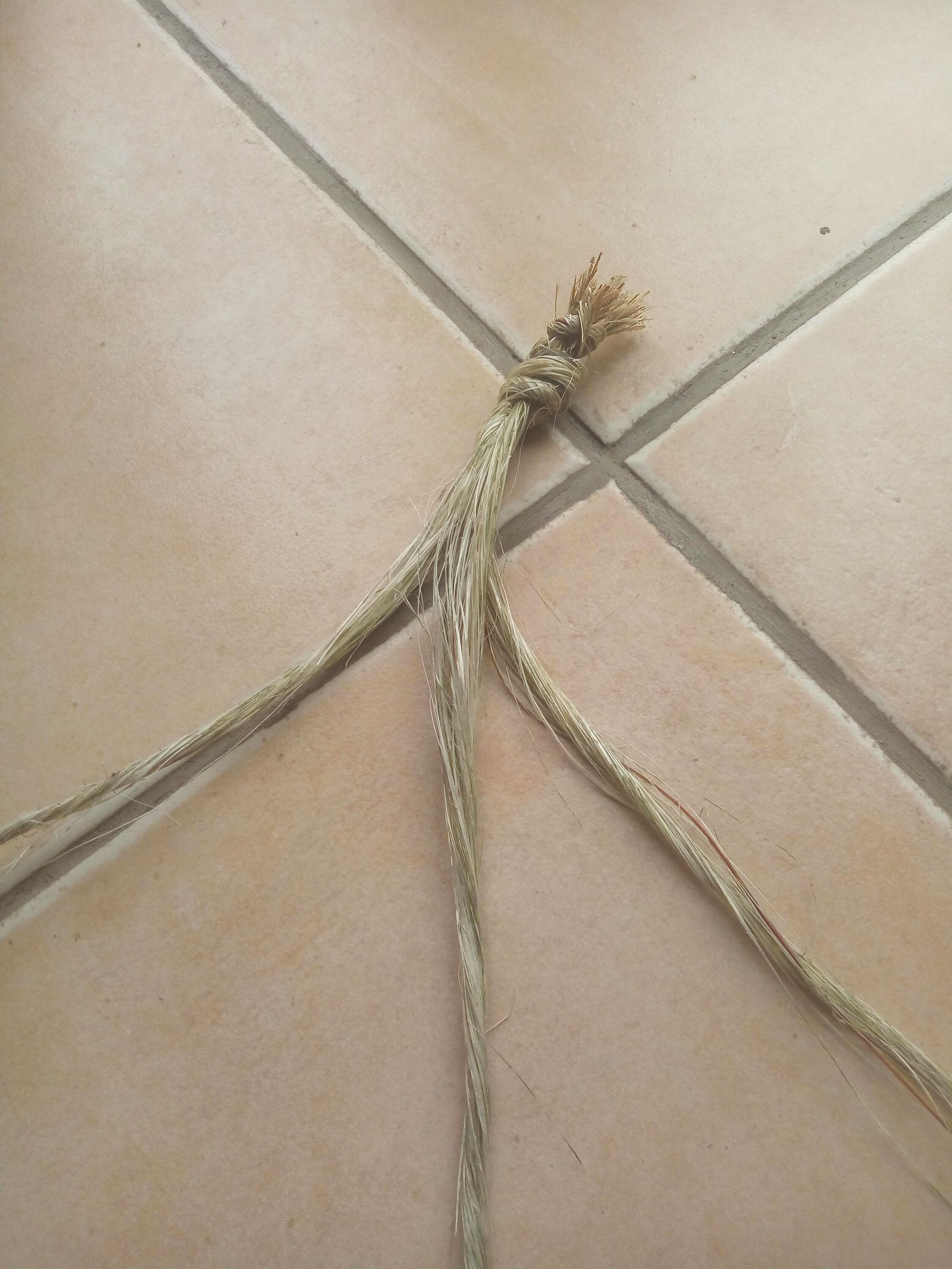 How to Make Rope / String With Natural Plant Fibers : 6 Steps (with ...