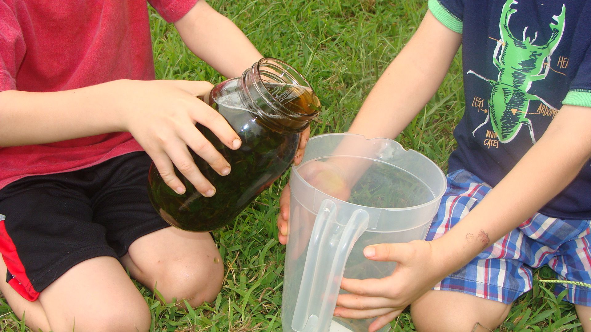 Cold Brew Wild Mint Tea : 6 Steps (with Pictures) - Instructables