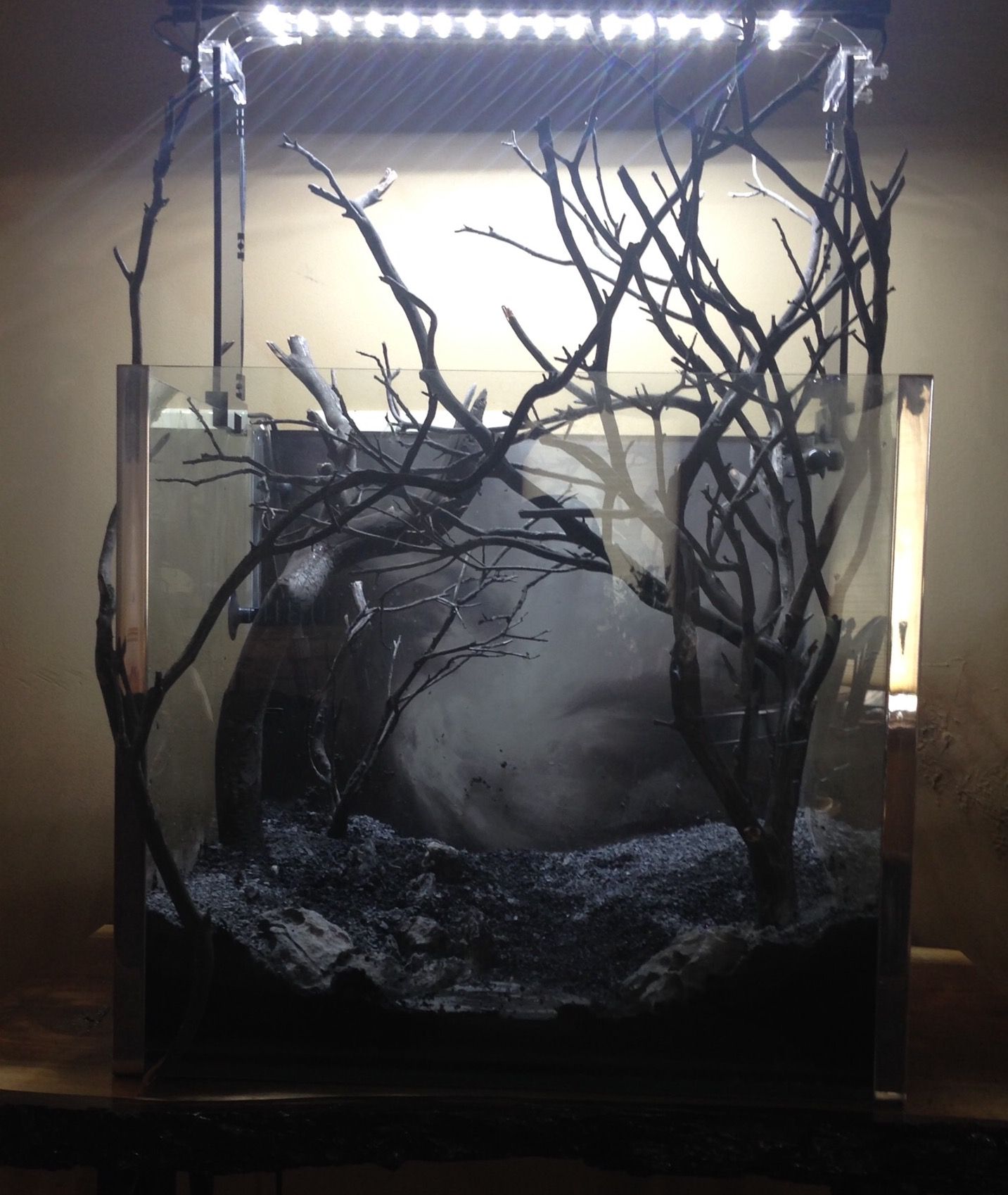 Dark and Eerie Fish Tank : 18 Steps (with Pictures) - Instructables