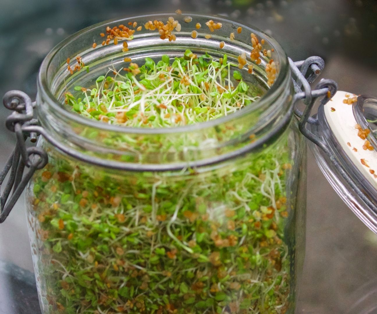 36 Cool Indoor Garden Ideas to Grow Food : 9 Steps (with Pictures ...