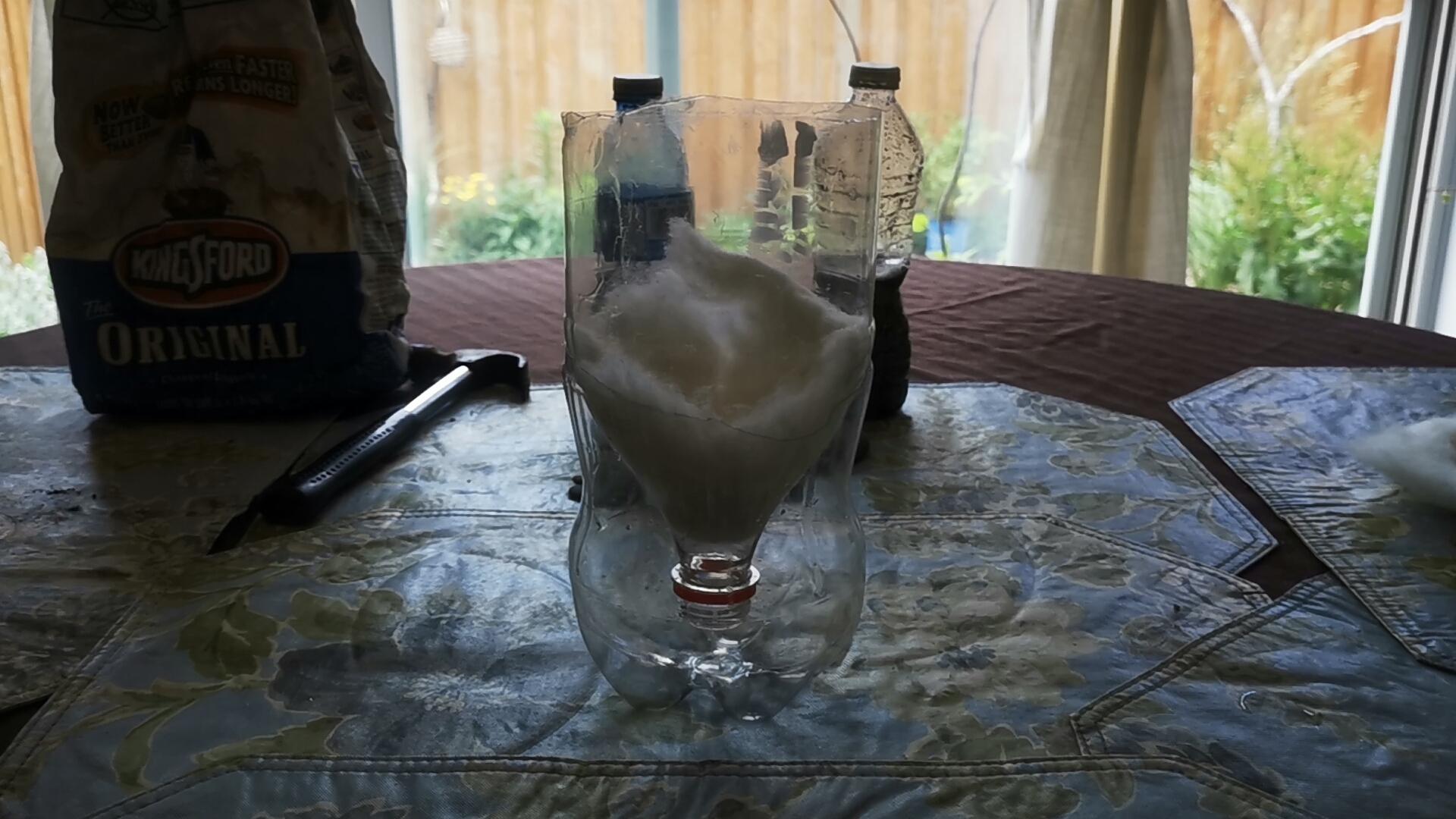 How to Make a Homemade Water Filter - Science Experiment : 8 Steps ...