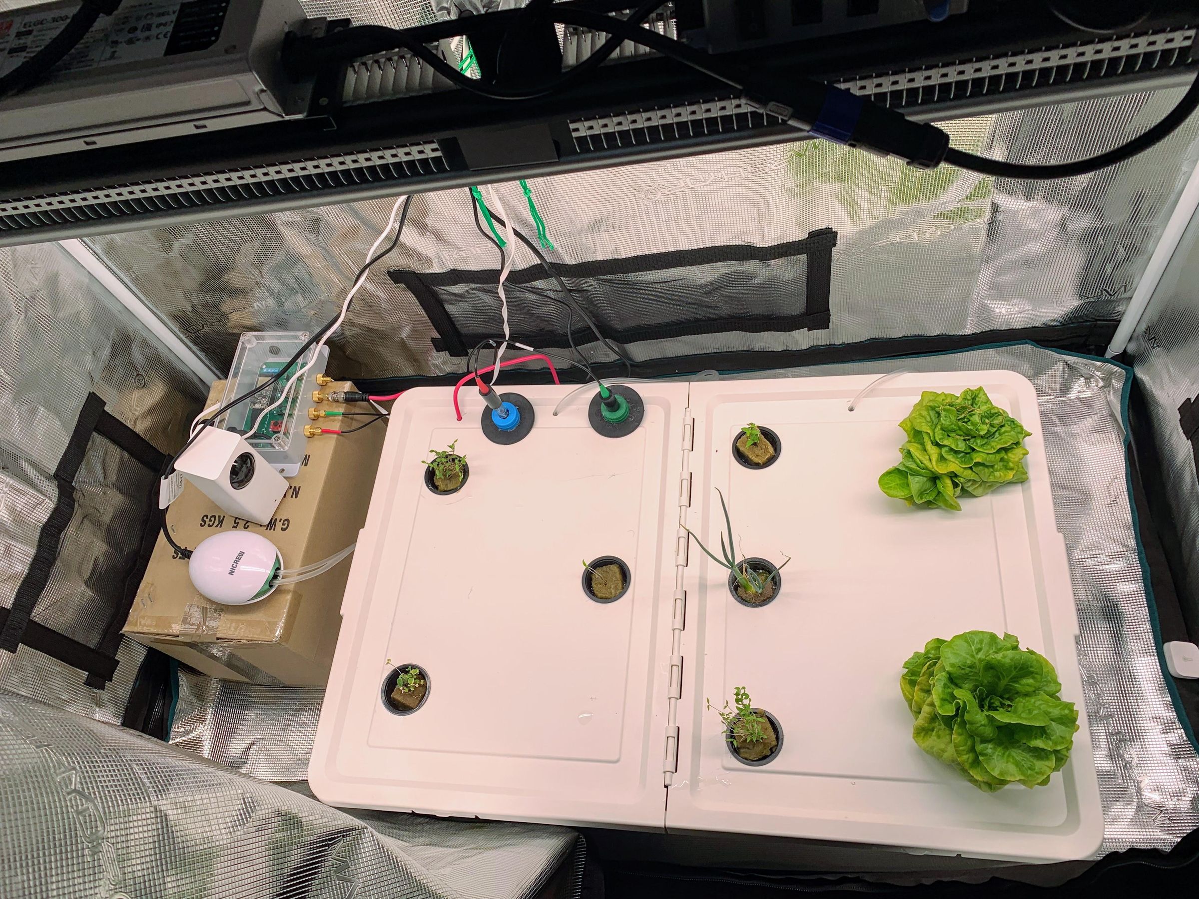 Integrating Atlas Scientific Wi-Fi Hydroponics Kit to Home Assistant ...