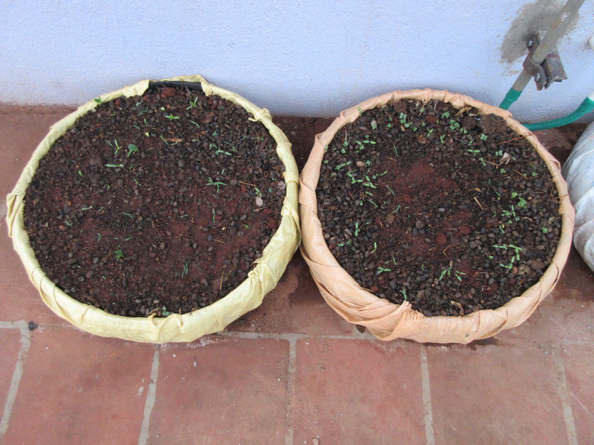 Use Old Tyres to Grow Leafy Vegetables : 7 Steps - Instructables