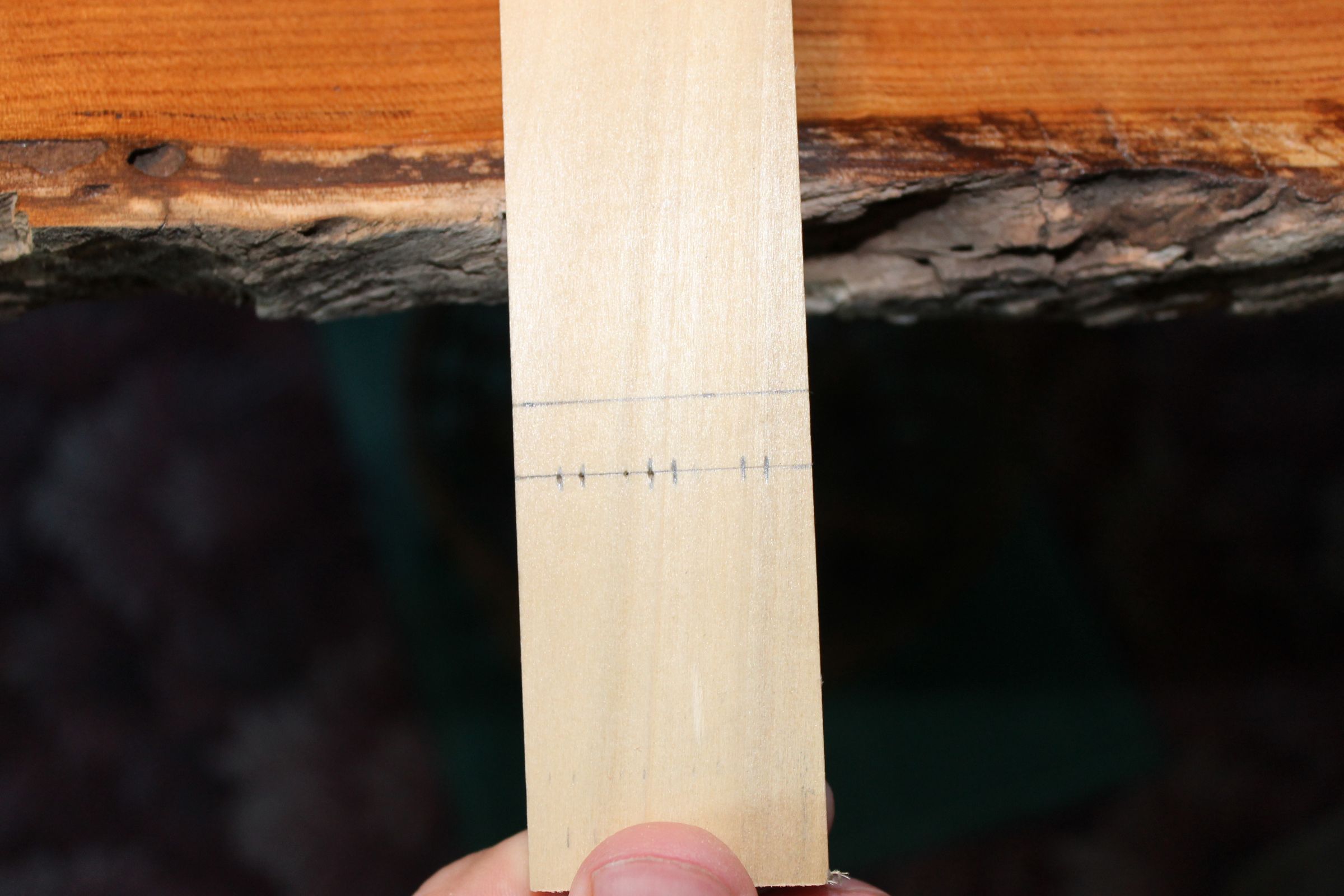 Awesome Cigar Box Dulcimer : 14 Steps (with Pictures) - Instructables