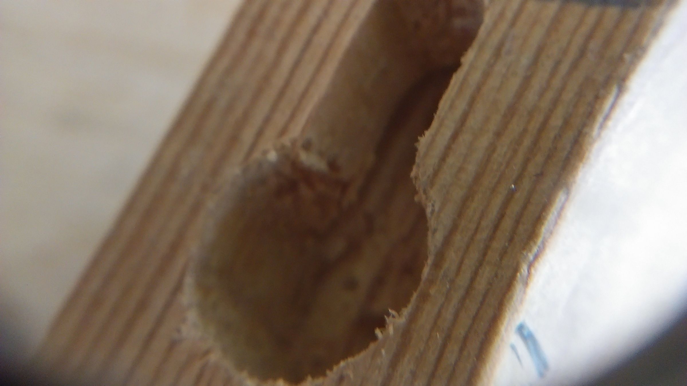 Hang a Painting Securely, Flush, and Level : 5 Steps (with Pictures ...