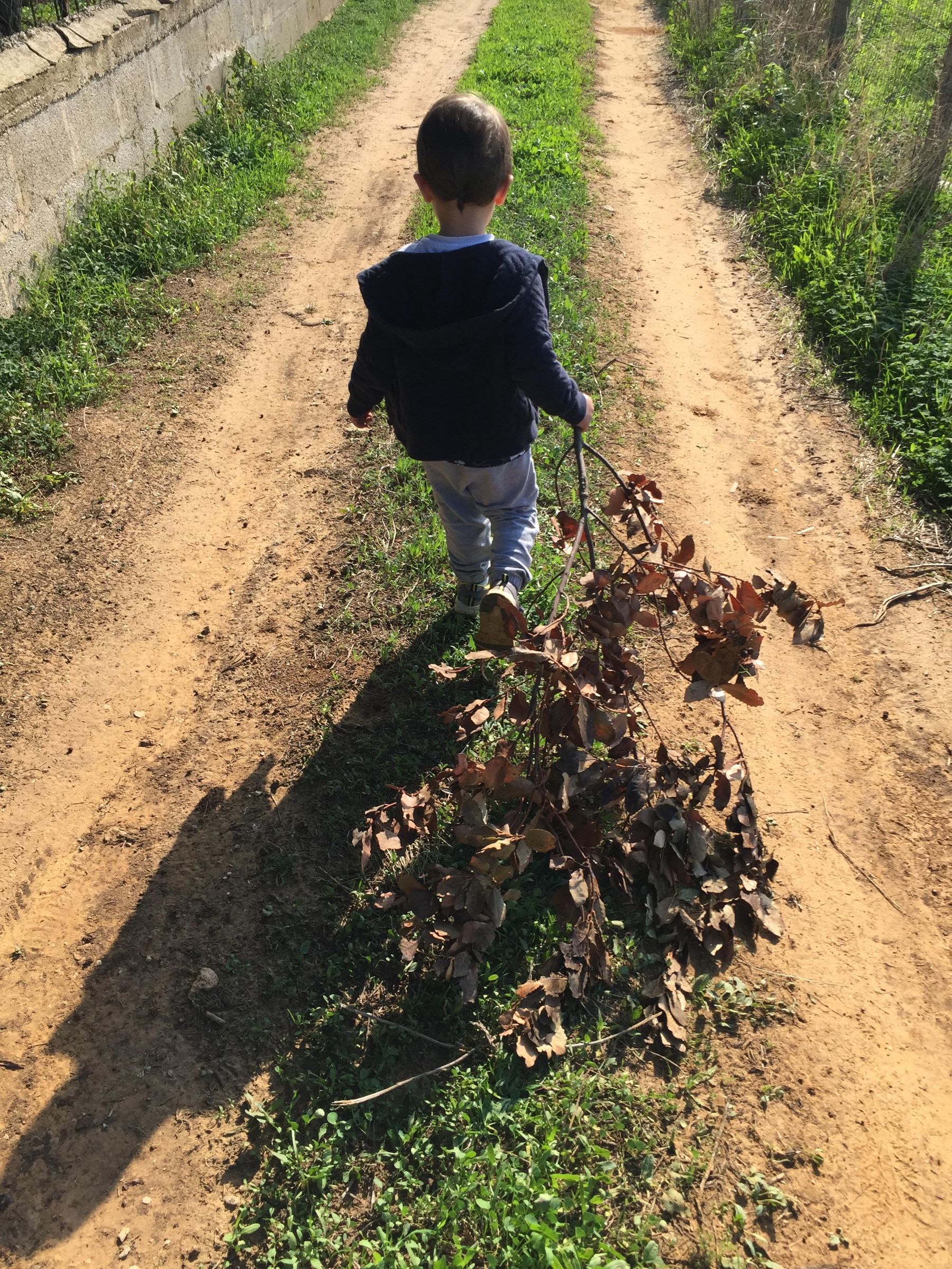 Keyhole Garden : 12 Steps (with Pictures) - Instructables