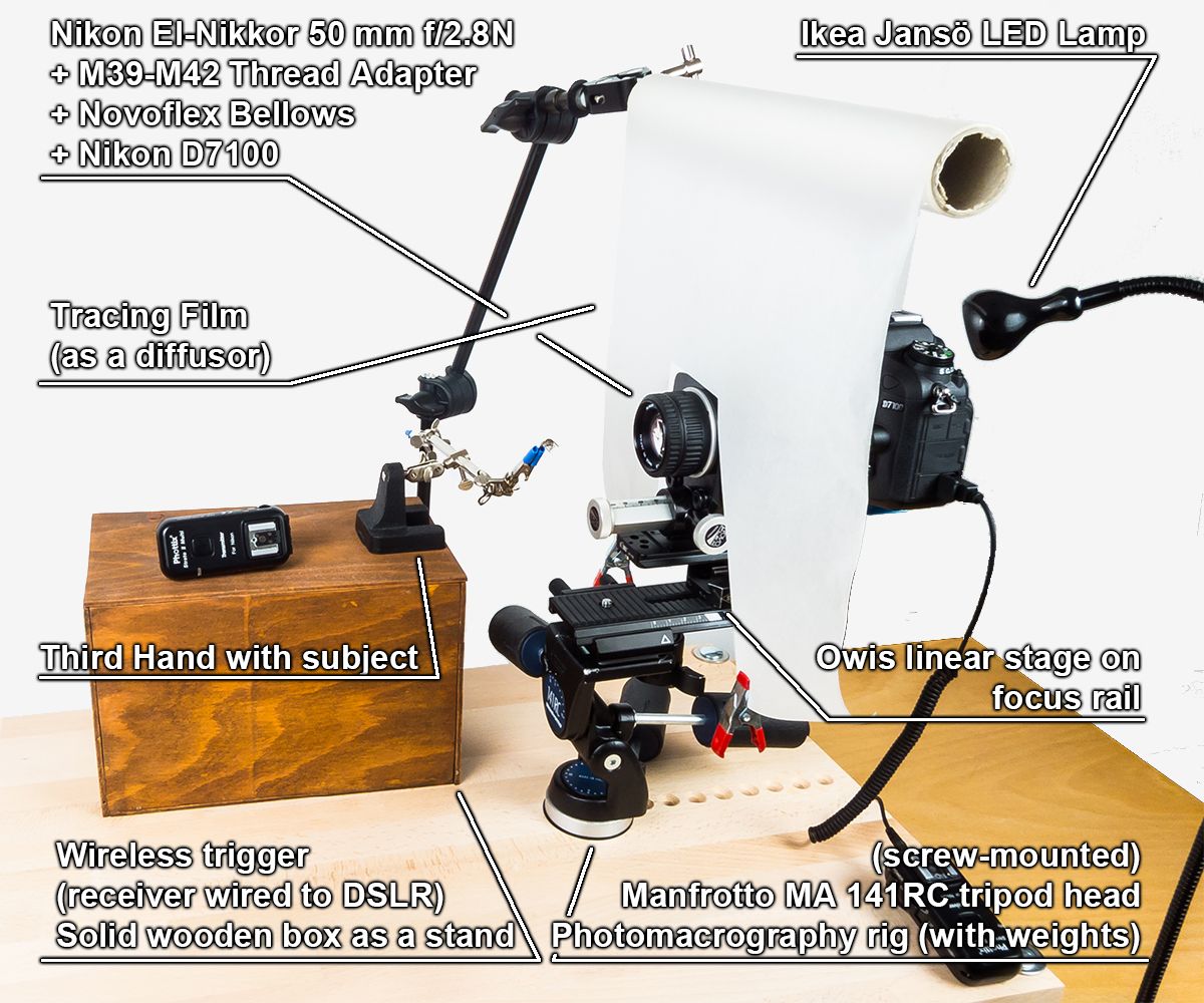 DSLR Macro Photography: a Comprehensive Overview : 22 Steps (with ...
