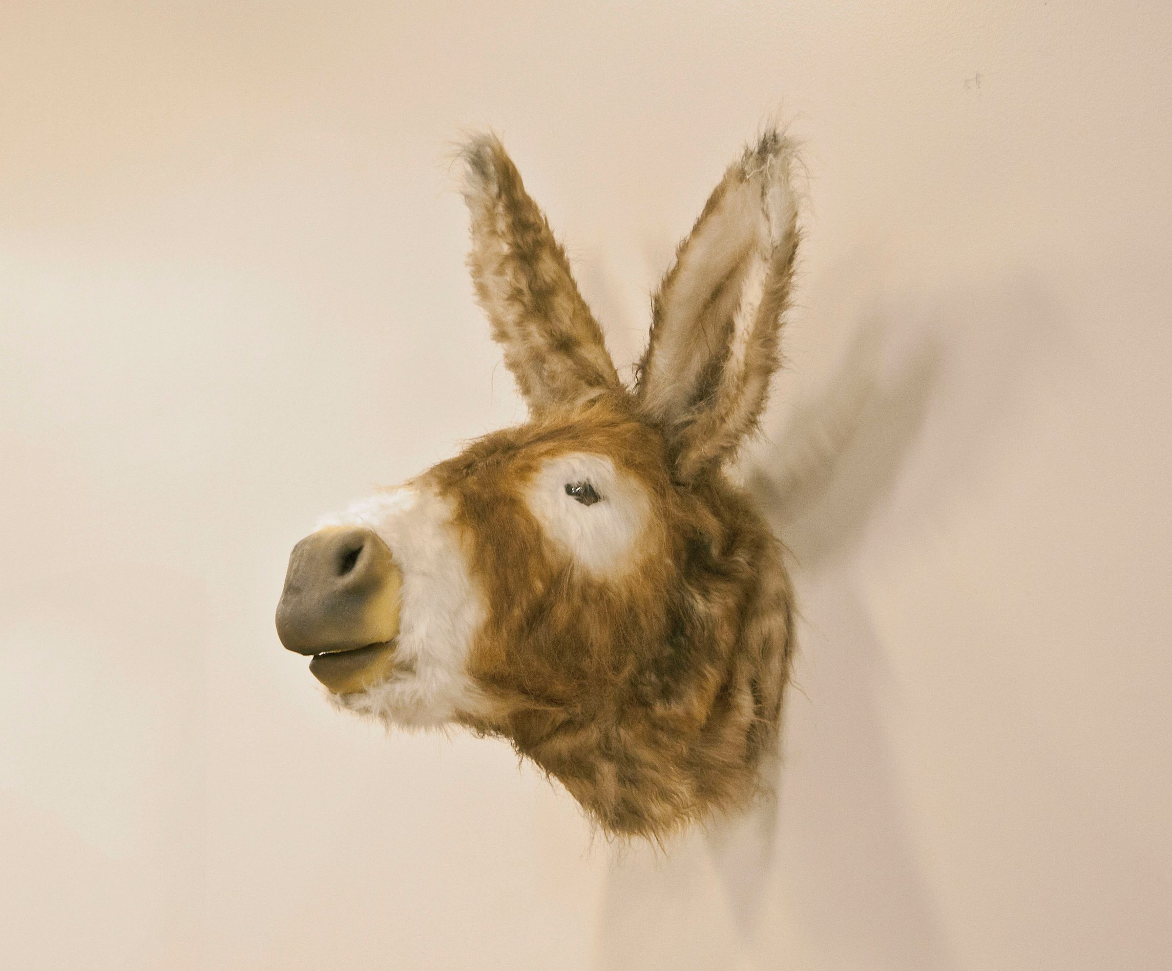 Donkey Mask With Working Mouth (face Puppet) : 12 Steps (with Pictures ...