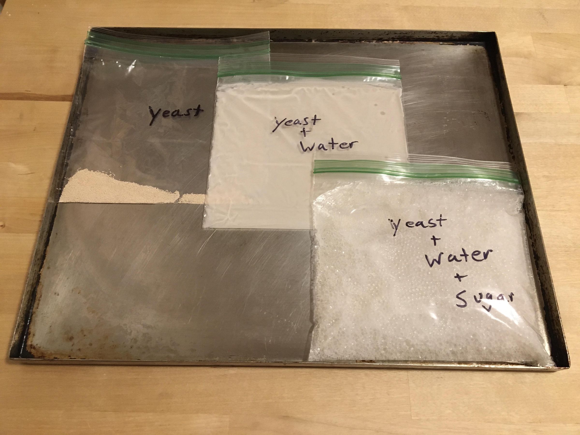 Yeast Experiments and Bread in a Bag : 5 Steps - Instructables