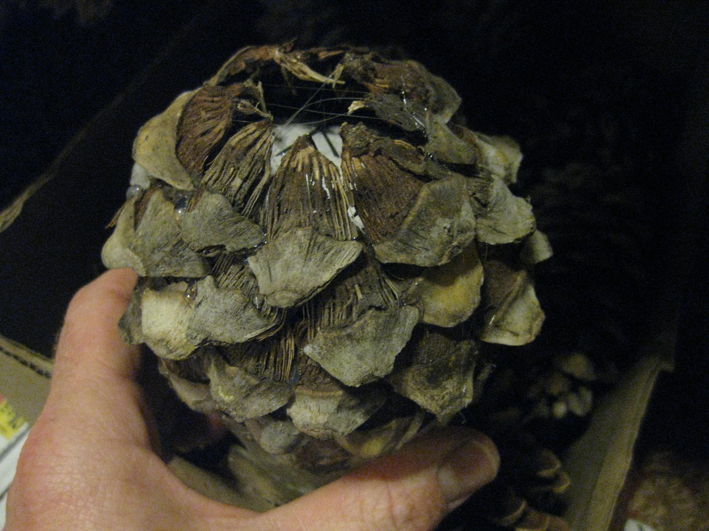 Giant Acorns : 3 Steps - Instructables