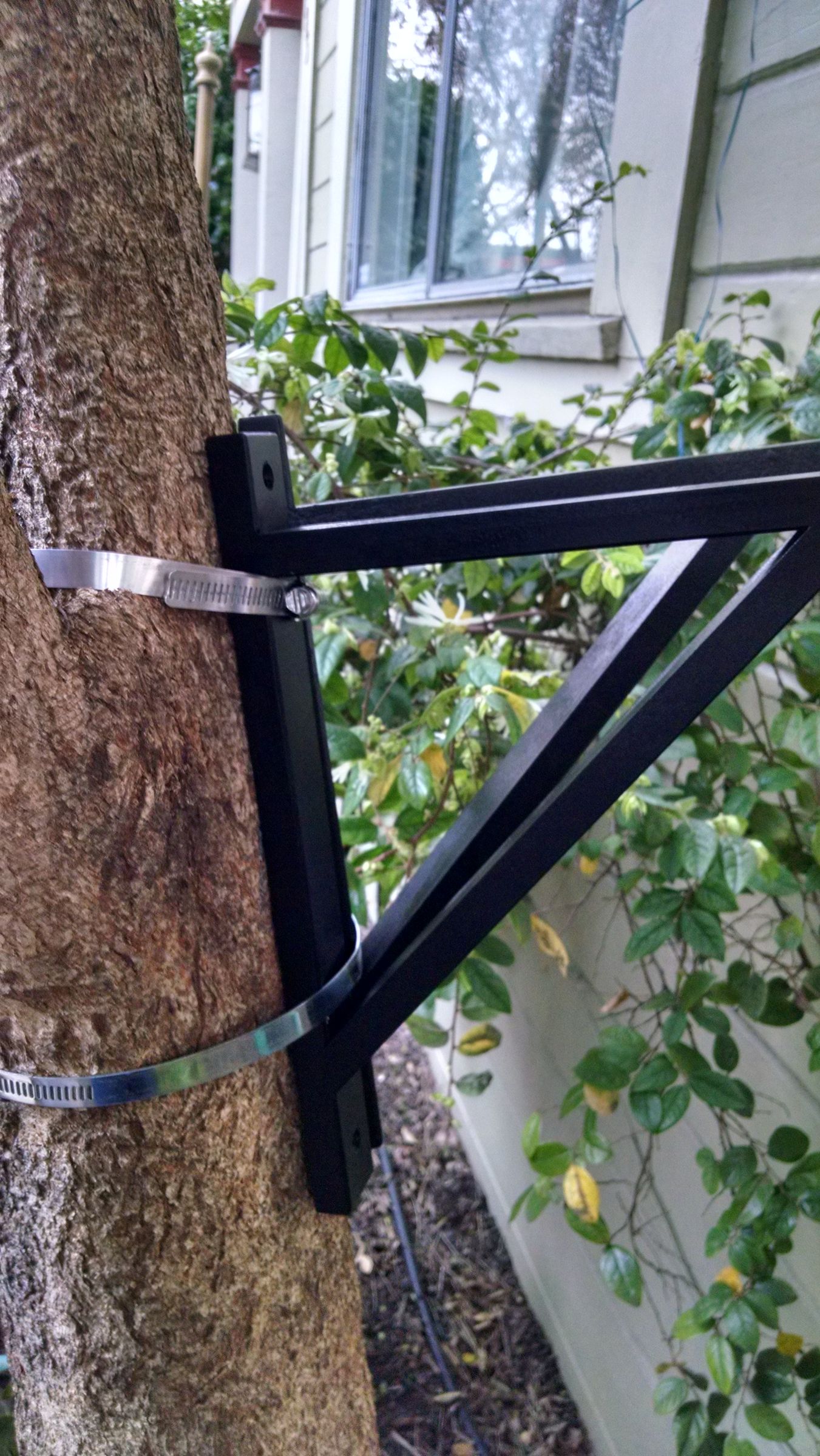 How to Turn a Real Live Tree Into a Cat Tree W/Hose Clamps and Ikea ...