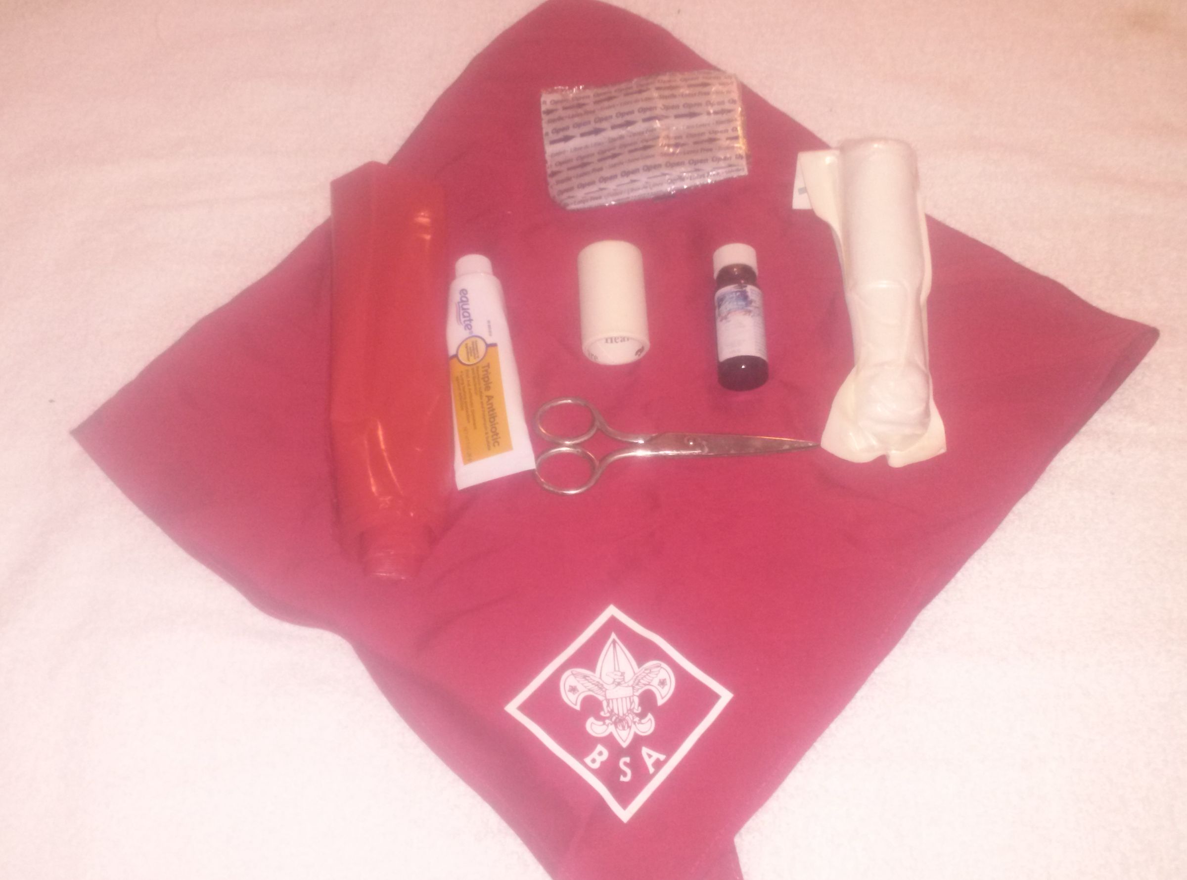 Dog Emergency Supply Kit : 6 Steps (with Pictures) - Instructables