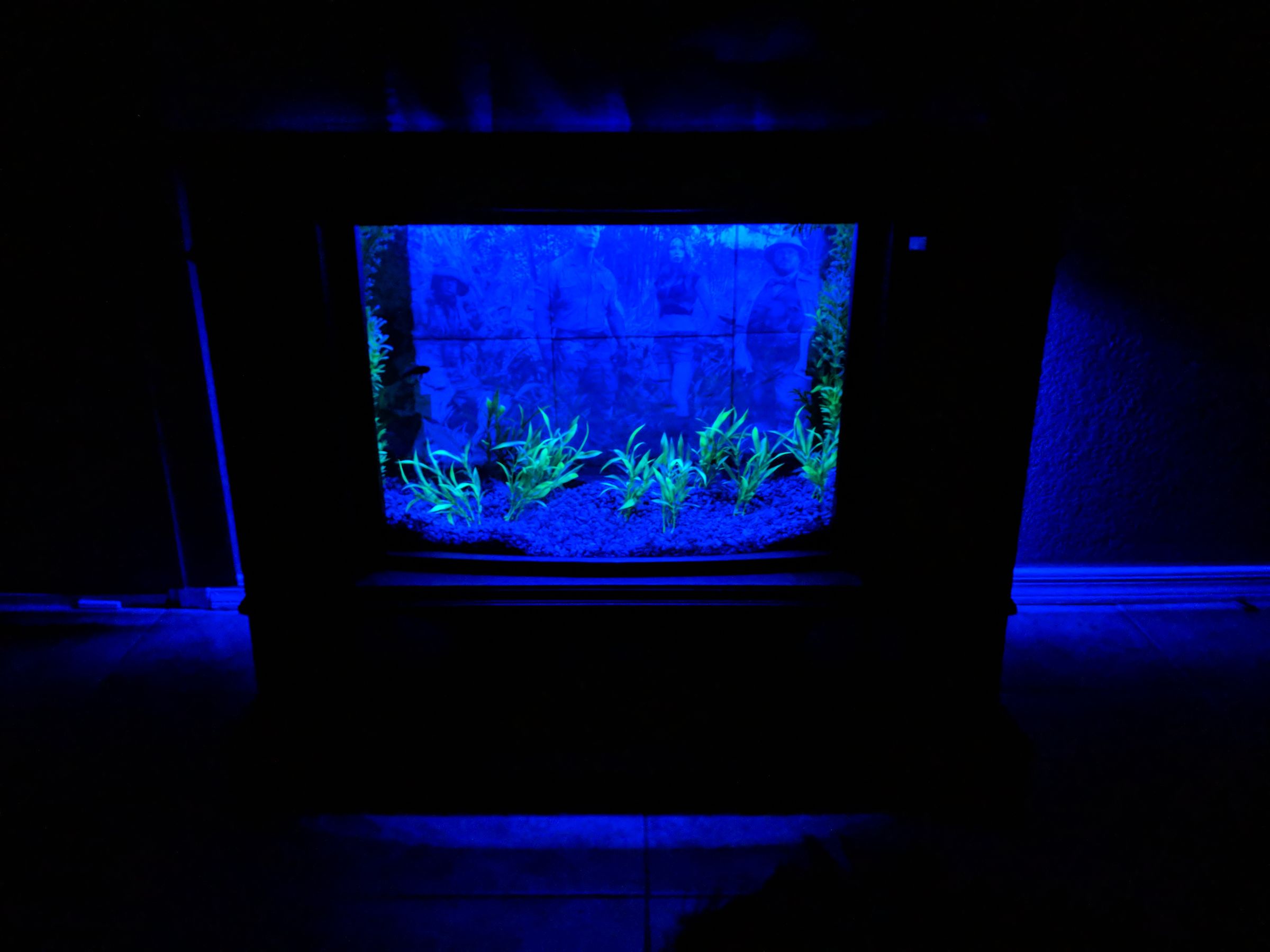 Build a TV Fish Tank : 6 Steps (with Pictures) - Instructables