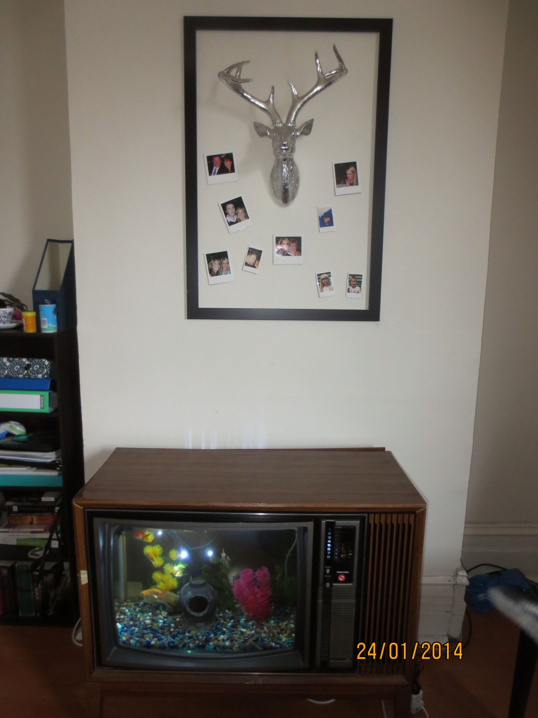 TV Fish Tank \ Aquarium : 5 Steps - Instructables