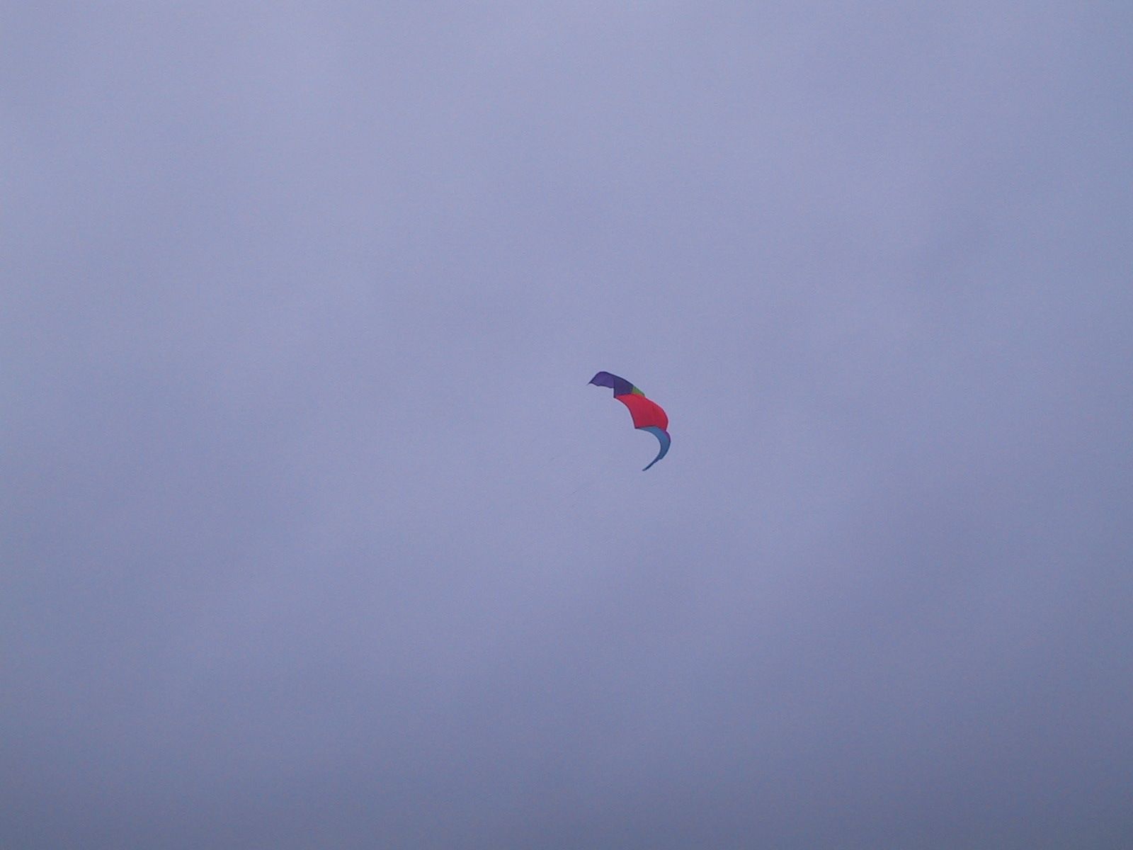 9 Square Meter Nasa ParaWing Traction Kite - Instructables