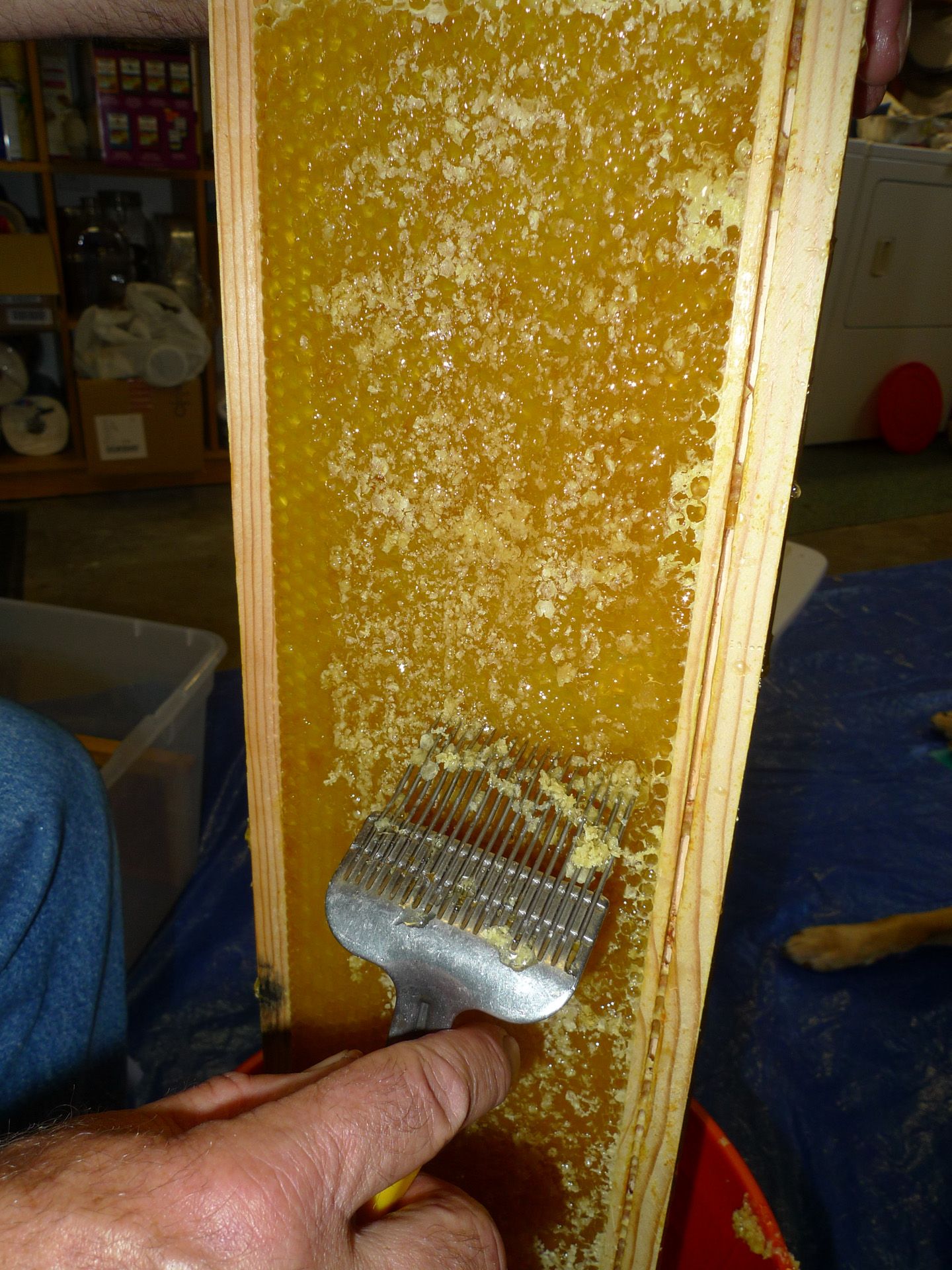 Extracting Honey : 8 Steps (with Pictures) - Instructables