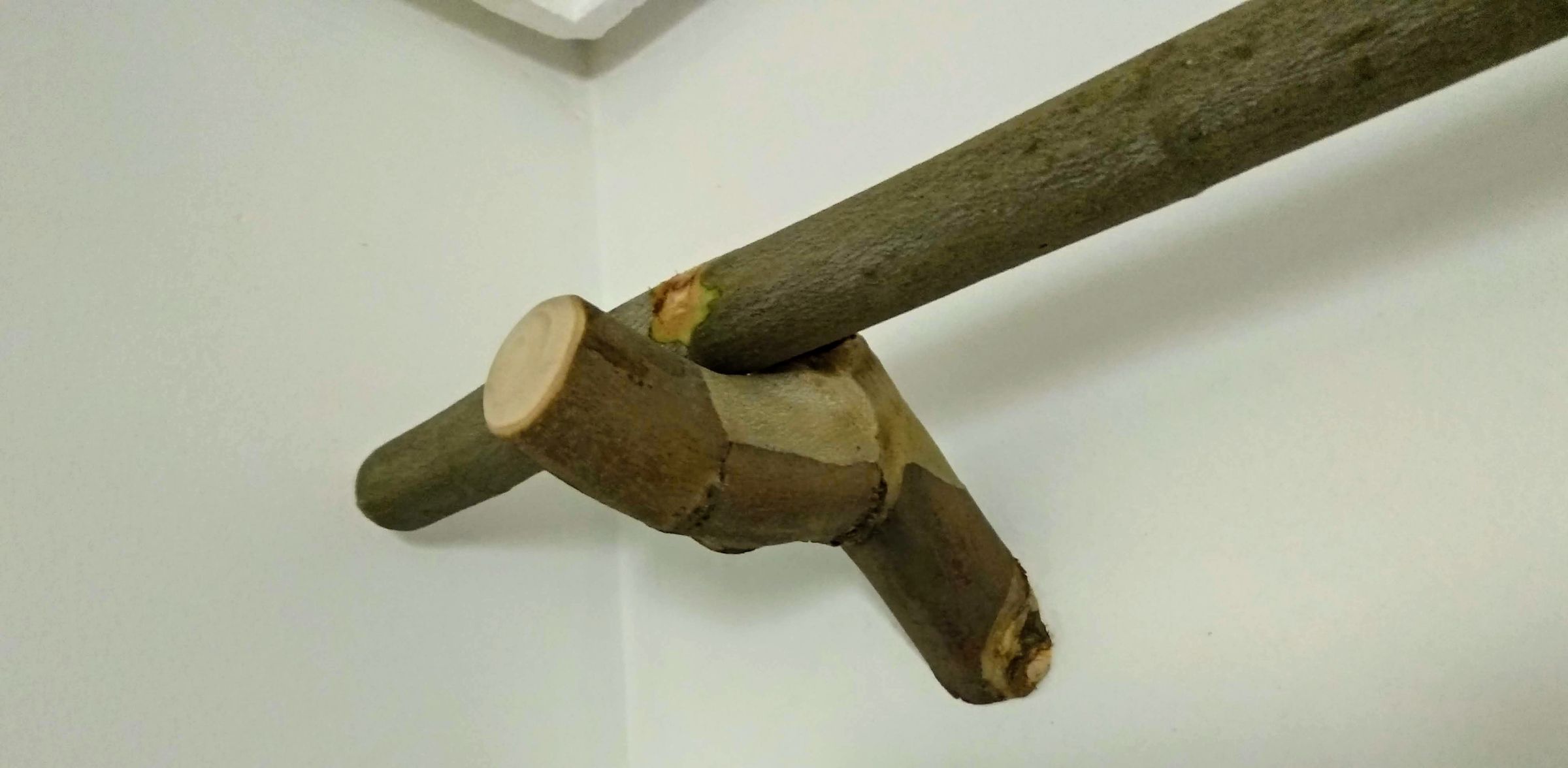 Tree Branch Curtain Rods/ Fairy-tale Sun Blockers : 6 Steps (with ...