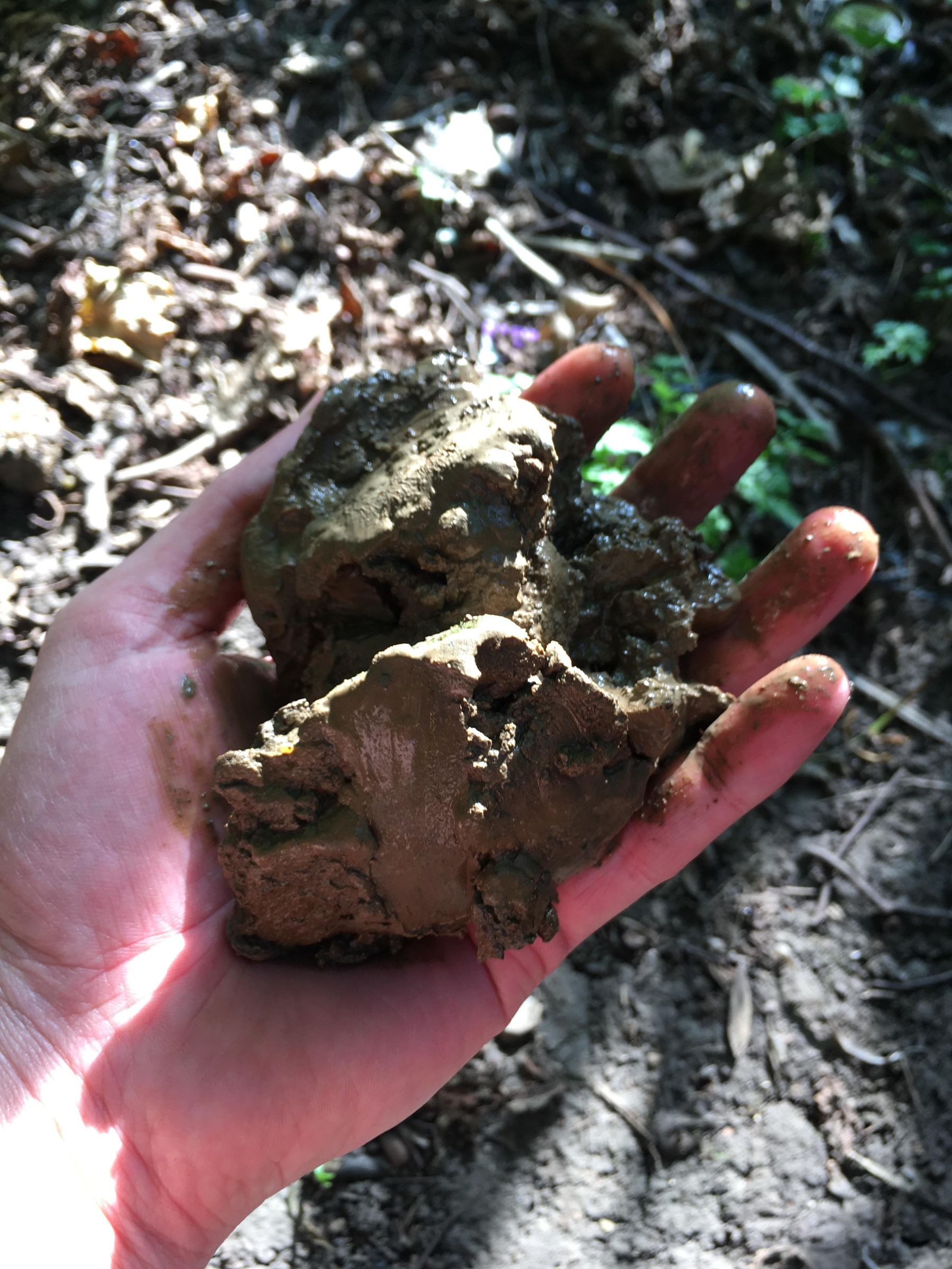 The River Clay Project - From Riverbed to Dining Table : 36 Steps (with ...