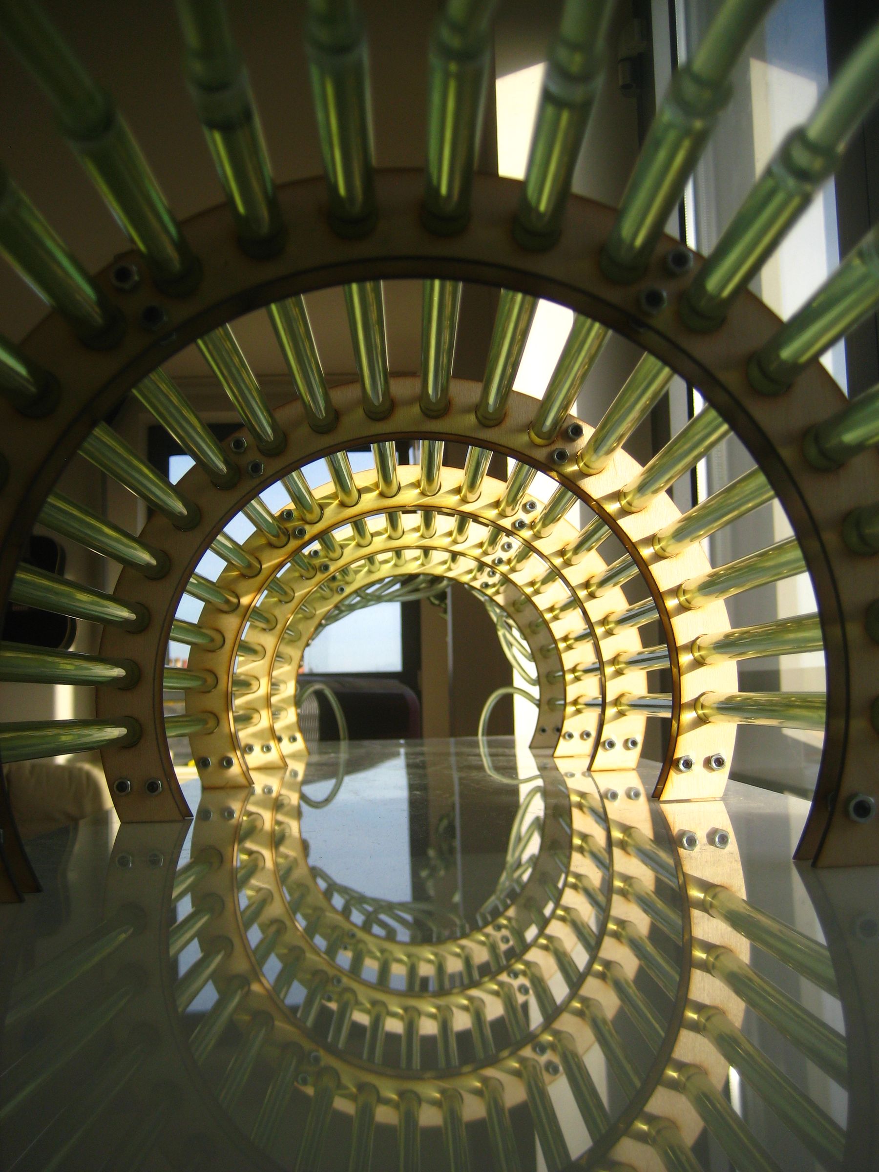 The Algae Experiment: How to Build Your Own Algae Photo-bioreactor ...