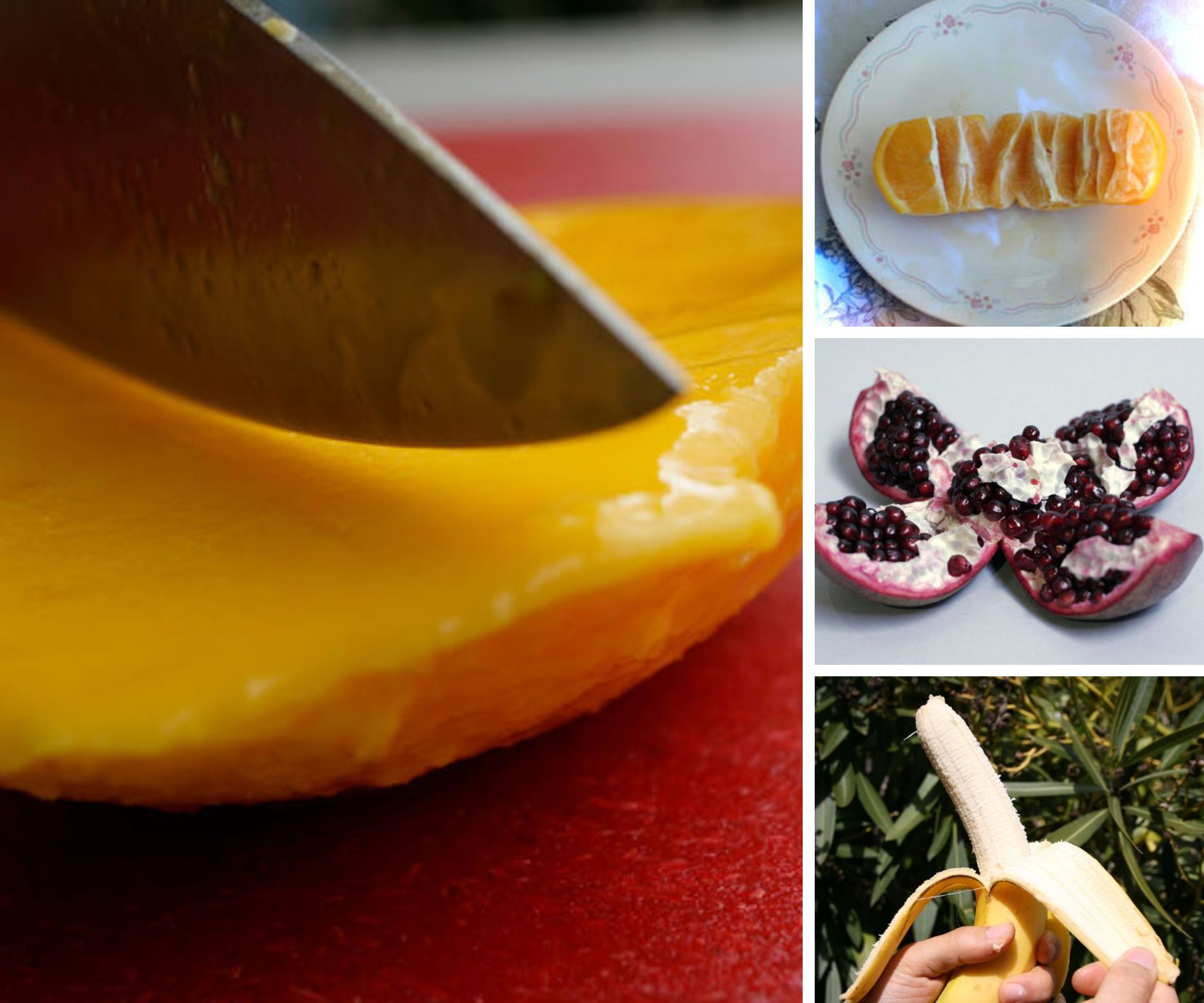 Collection of Collections - Instructables