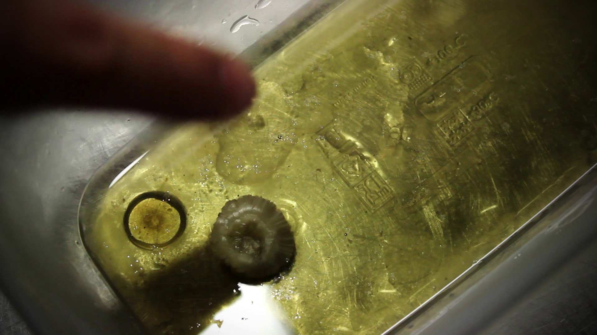 Hot Ice Experiment | the Hand Warmer : 5 Steps - Instructables