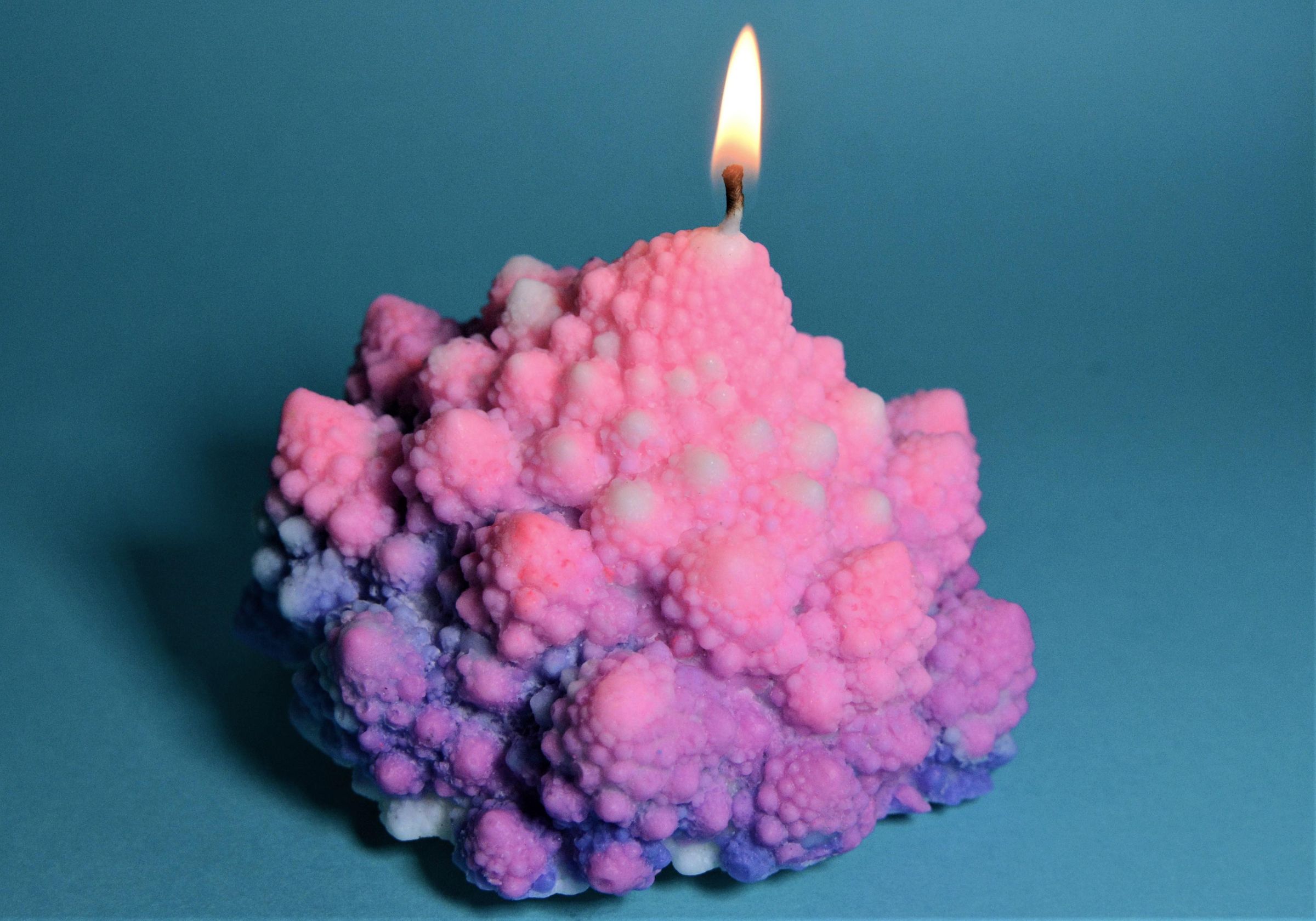 Turn Romanesco Broccoli Into a Candle : 17 Steps (with Pictures ...