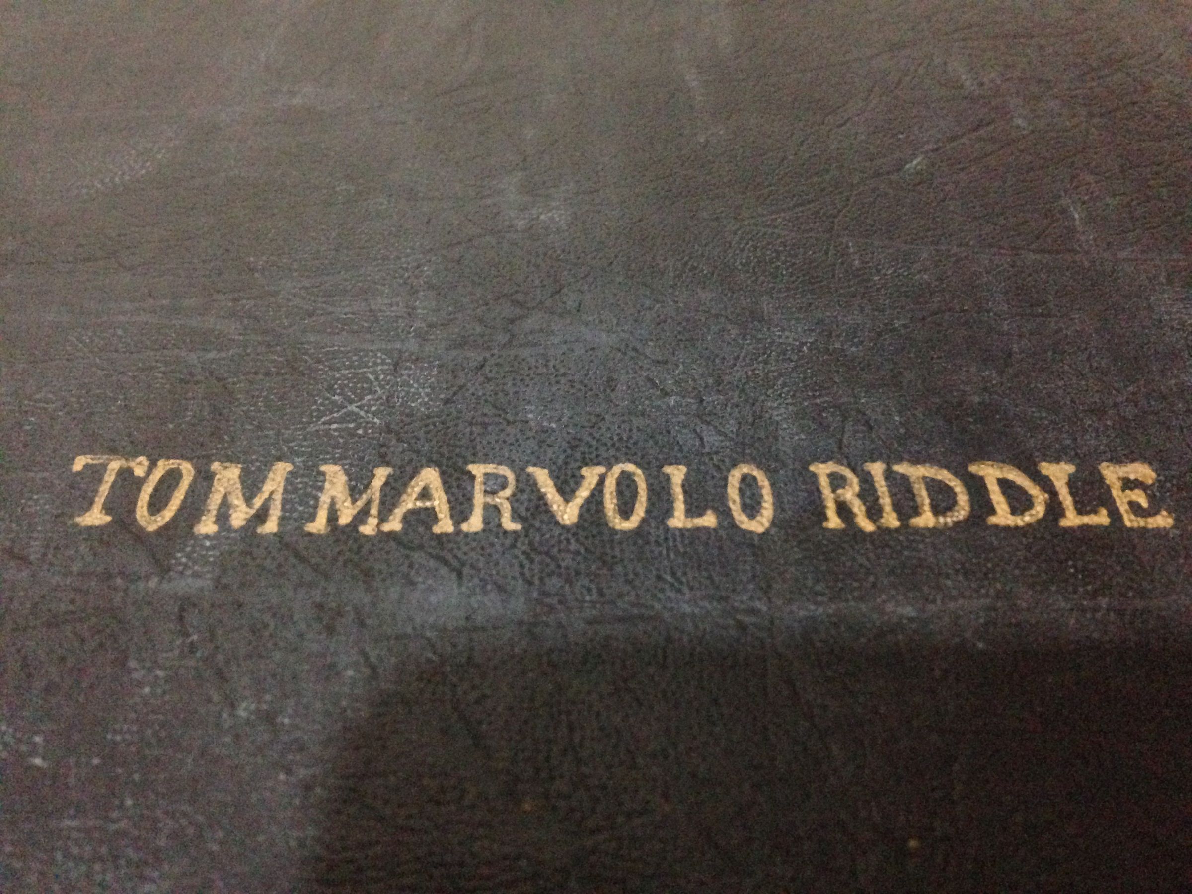 Tom Riddle's Diary From Soda Can and a Diary (Harry Potter) : 5 Steps ...