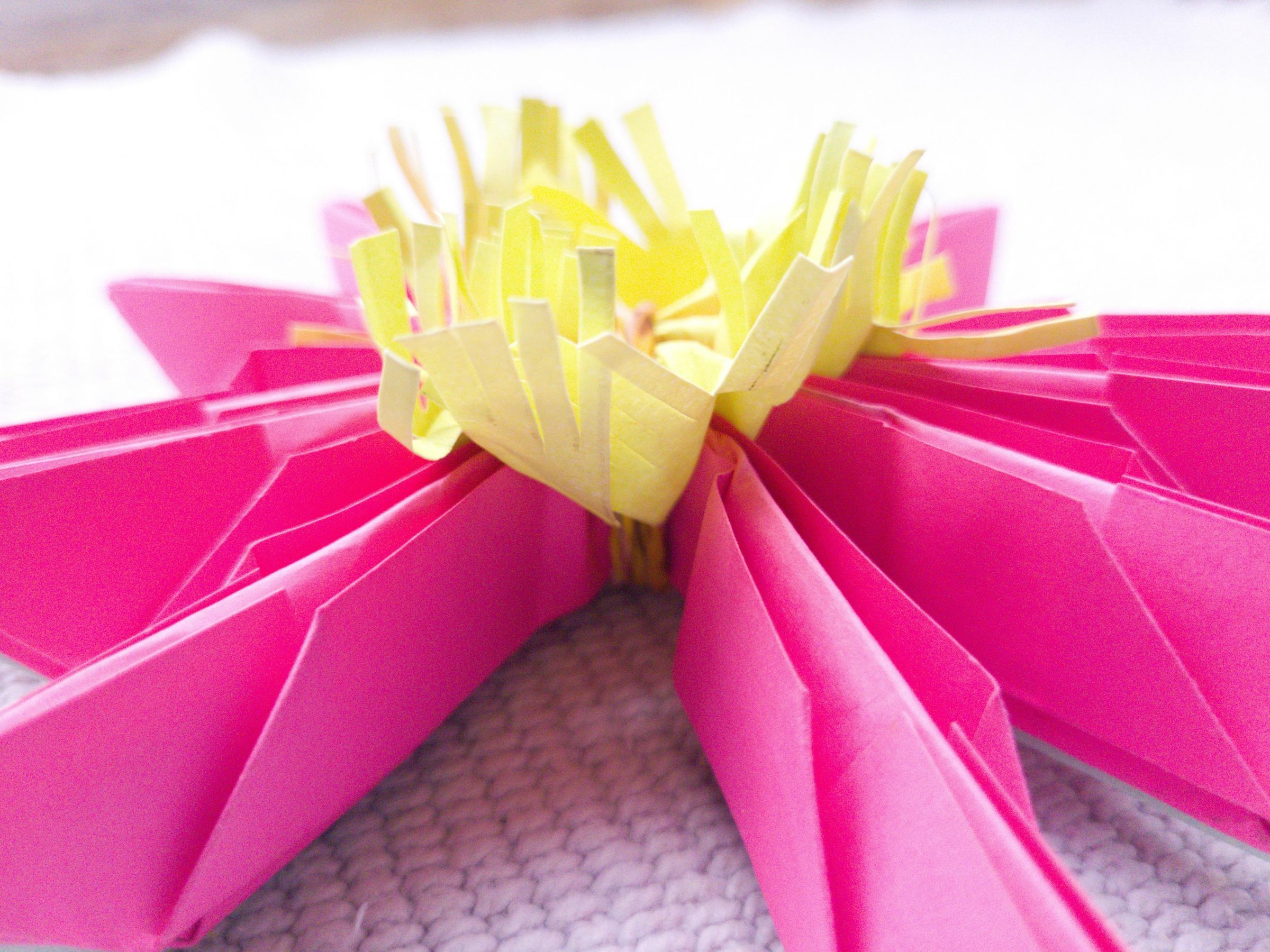 Water Lily Origami : 10 Steps (with Pictures) - Instructables