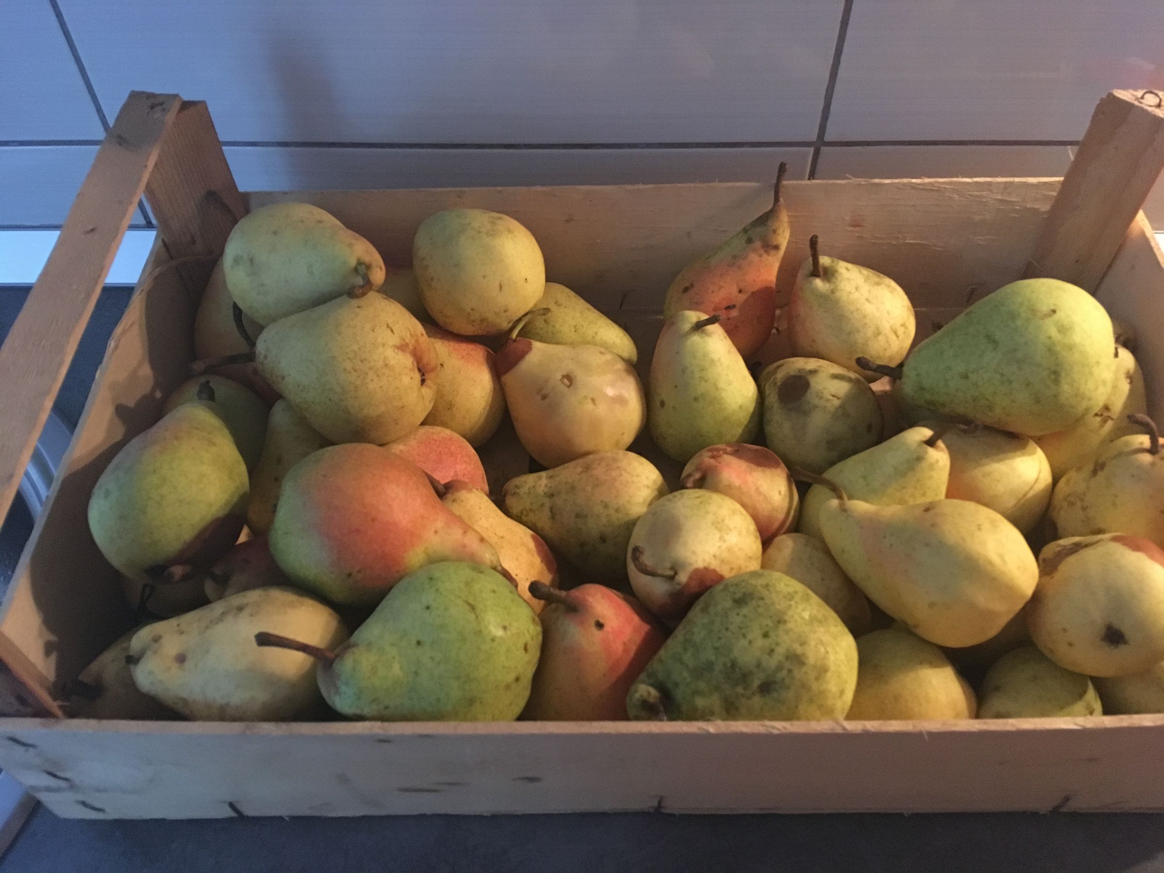 Homemade Pear Juice : 8 Steps (with Pictures) - Instructables