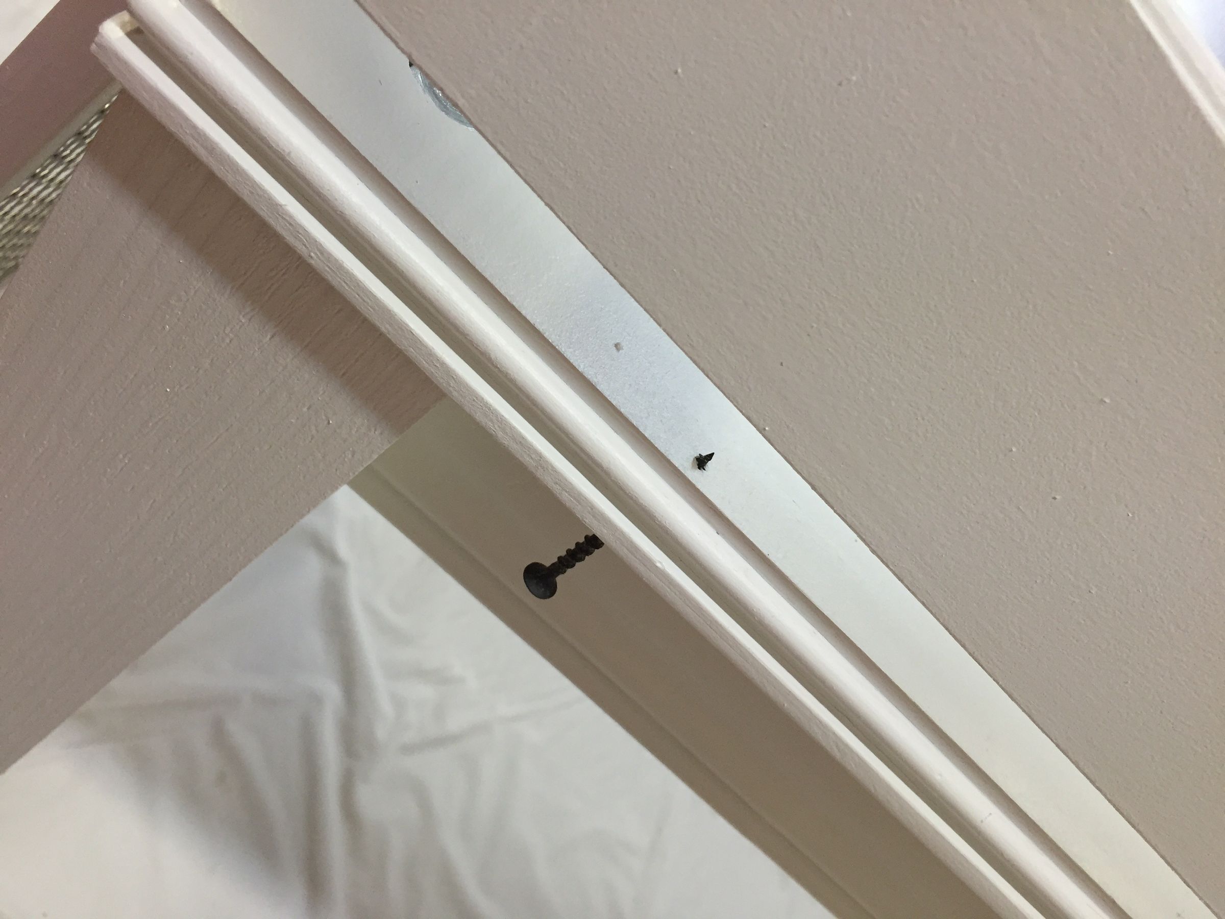 Jennifer's Display Cage W/Removable Divider - Instructables