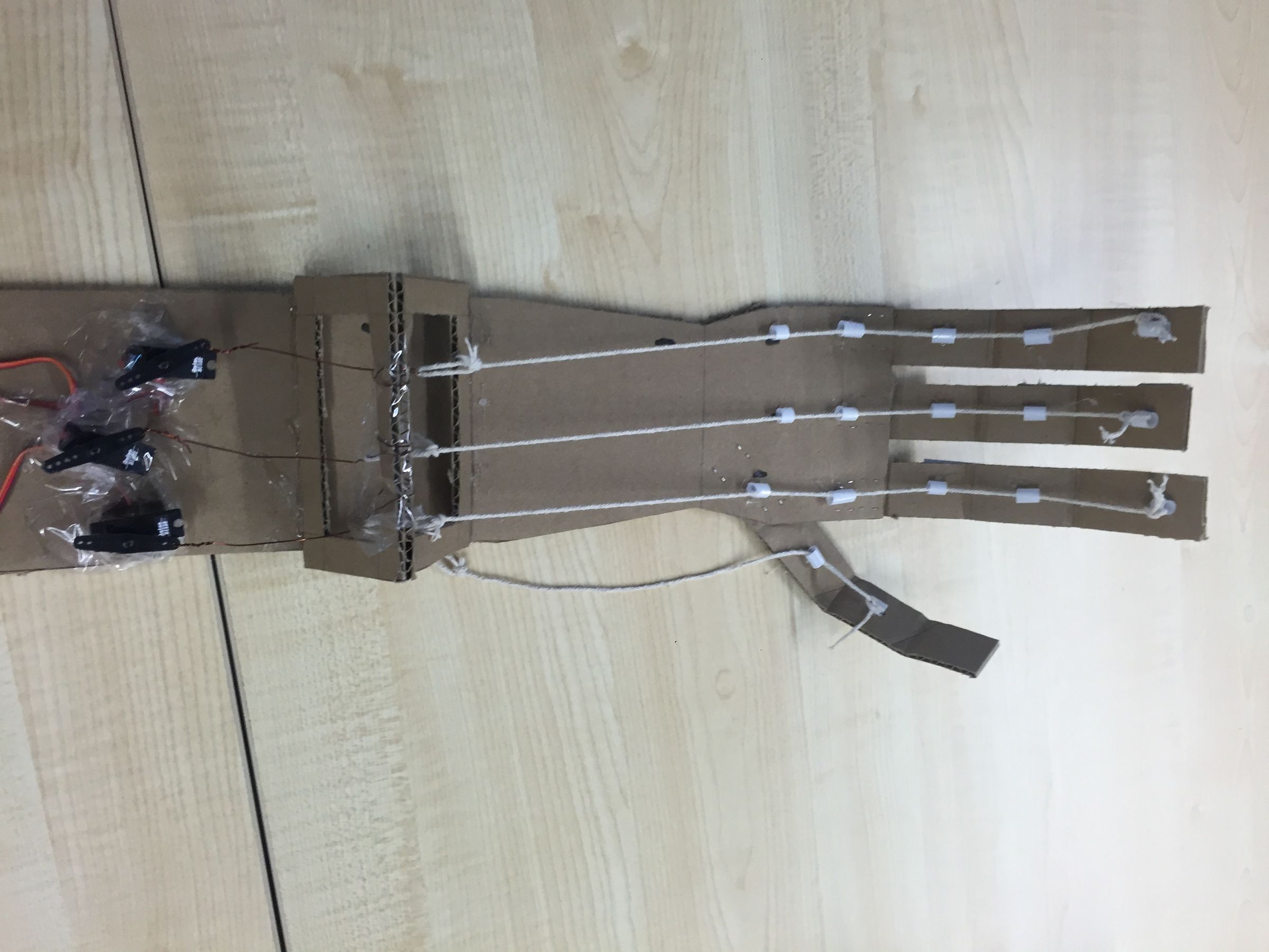 Cardboard Arm : 6 Steps (with Pictures) - Instructables